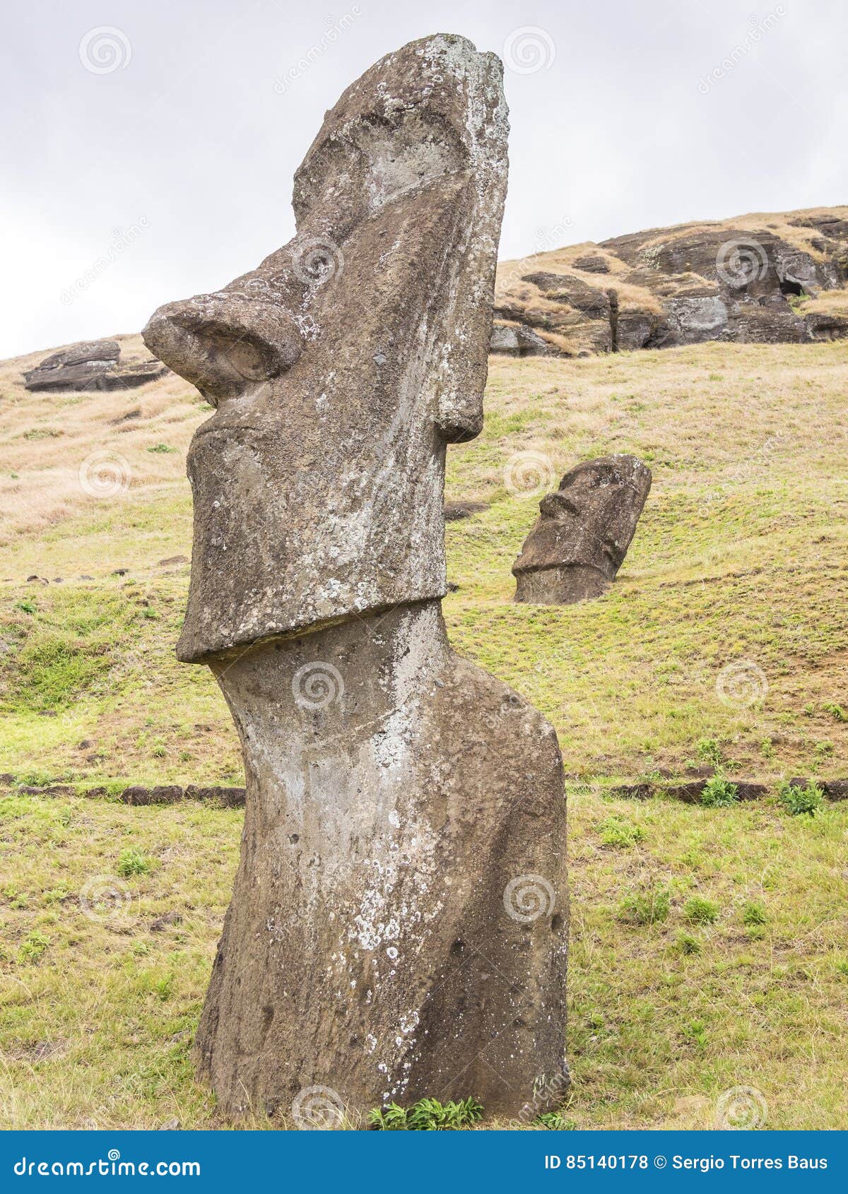 The big moai of the quarry stock photo. Image of figurehead - 85140178