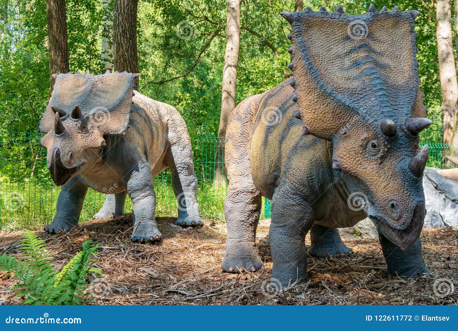 Prehistoric Dinosaur Fossile Stock Photography | CartoonDealer.com ...