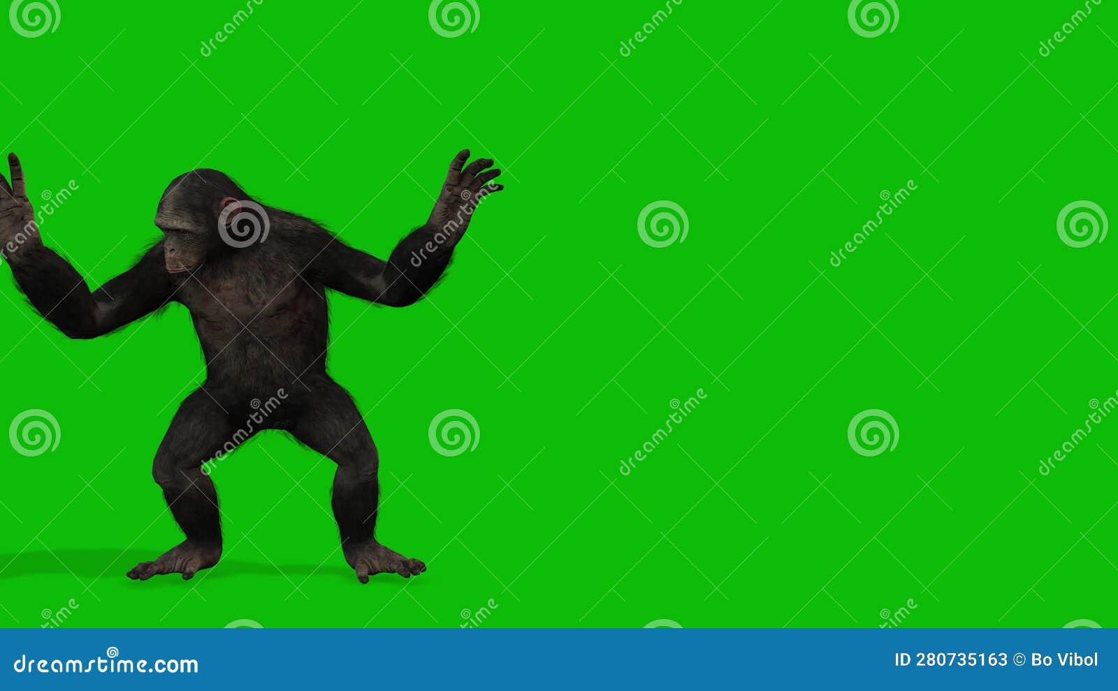 Big Monkey greenscreen stock video. Video of animation - 280735163