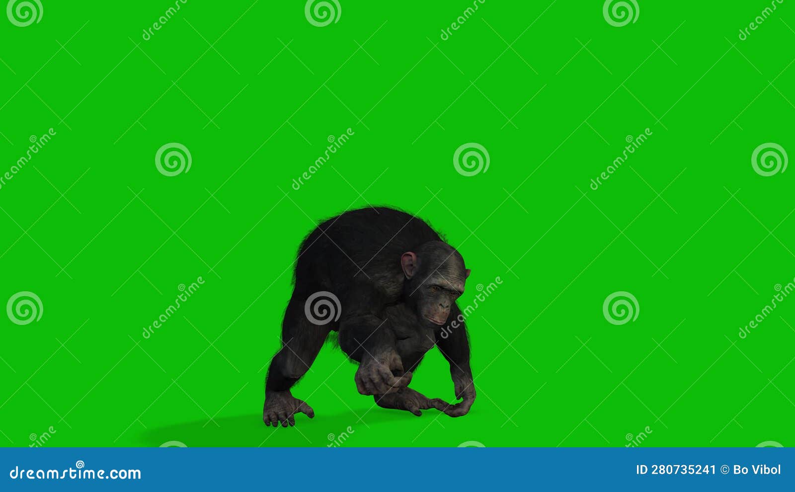Big Monkey greenscreen stock video. Video of animation - 280735241