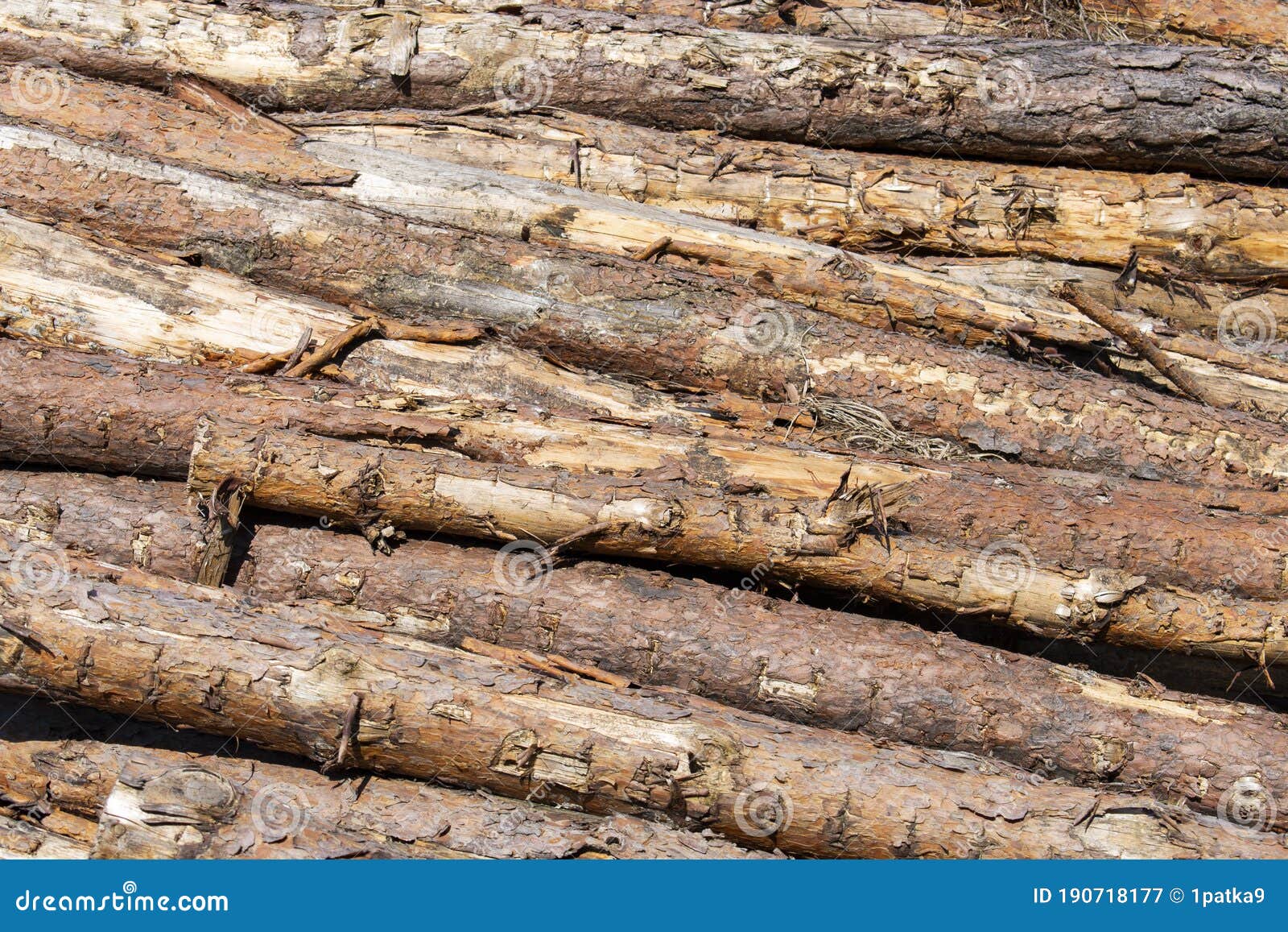 Big Monumental Pile / Stack of Wood Logs Stock Image - Image of grunge ...