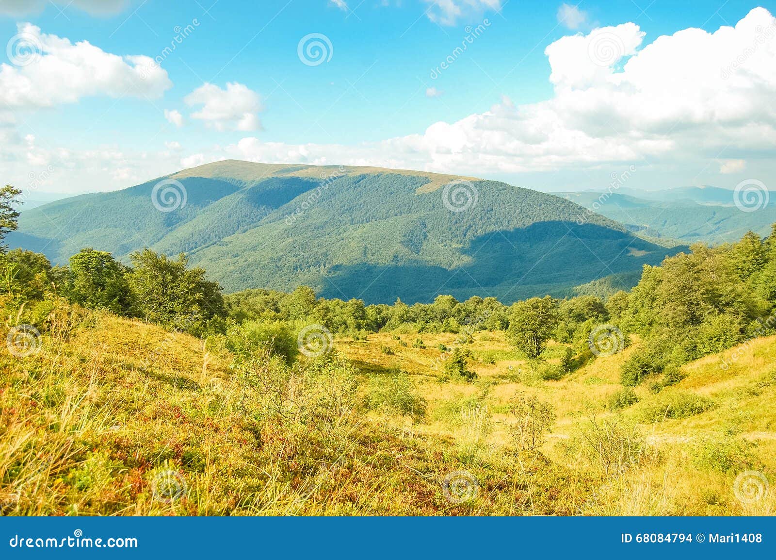 Big Mountain and a Field with Trees Stock Photo - Image of landscape ...
