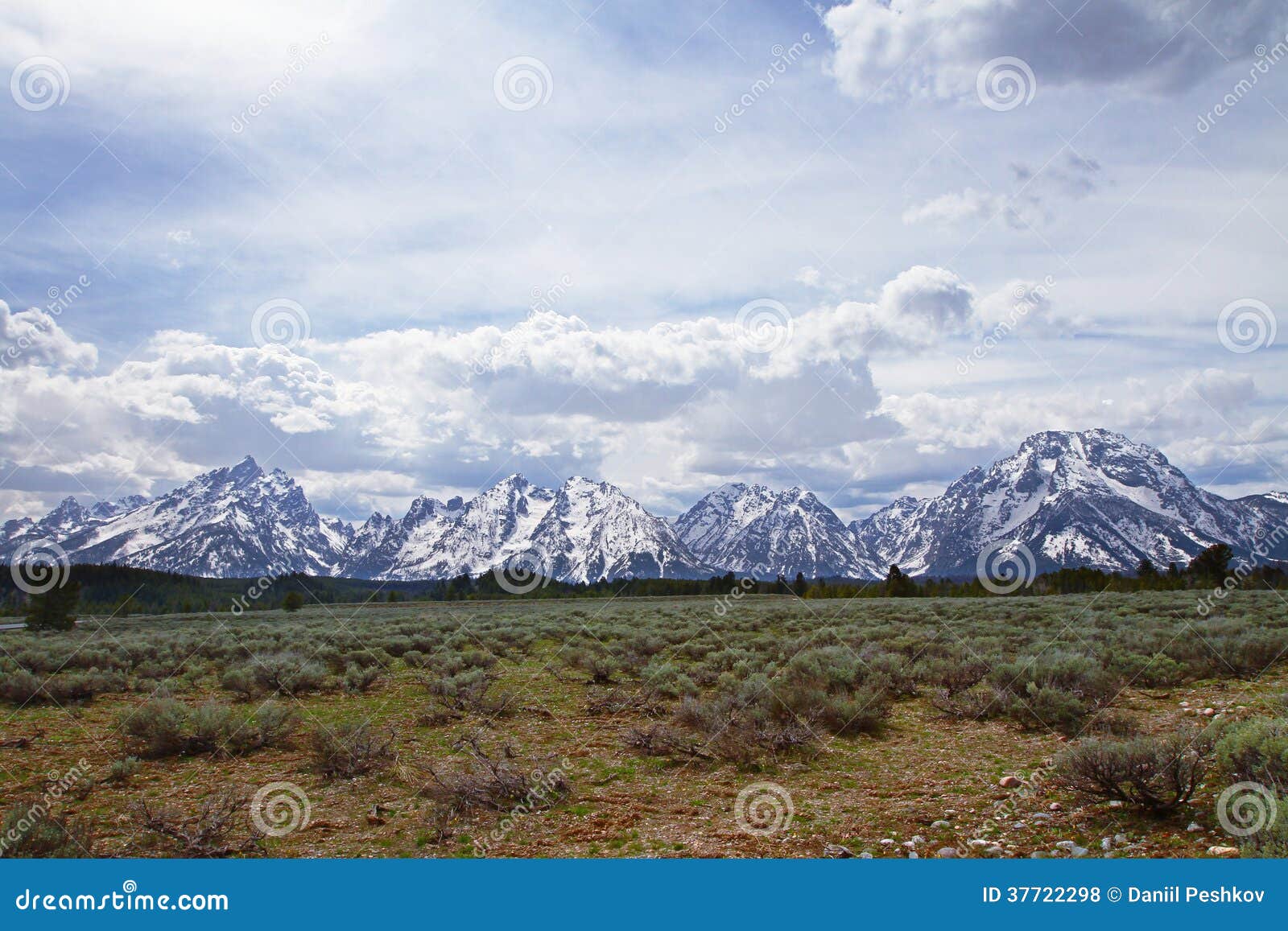 Big mountains stock photo. Image of nature, forest, color - 37722298