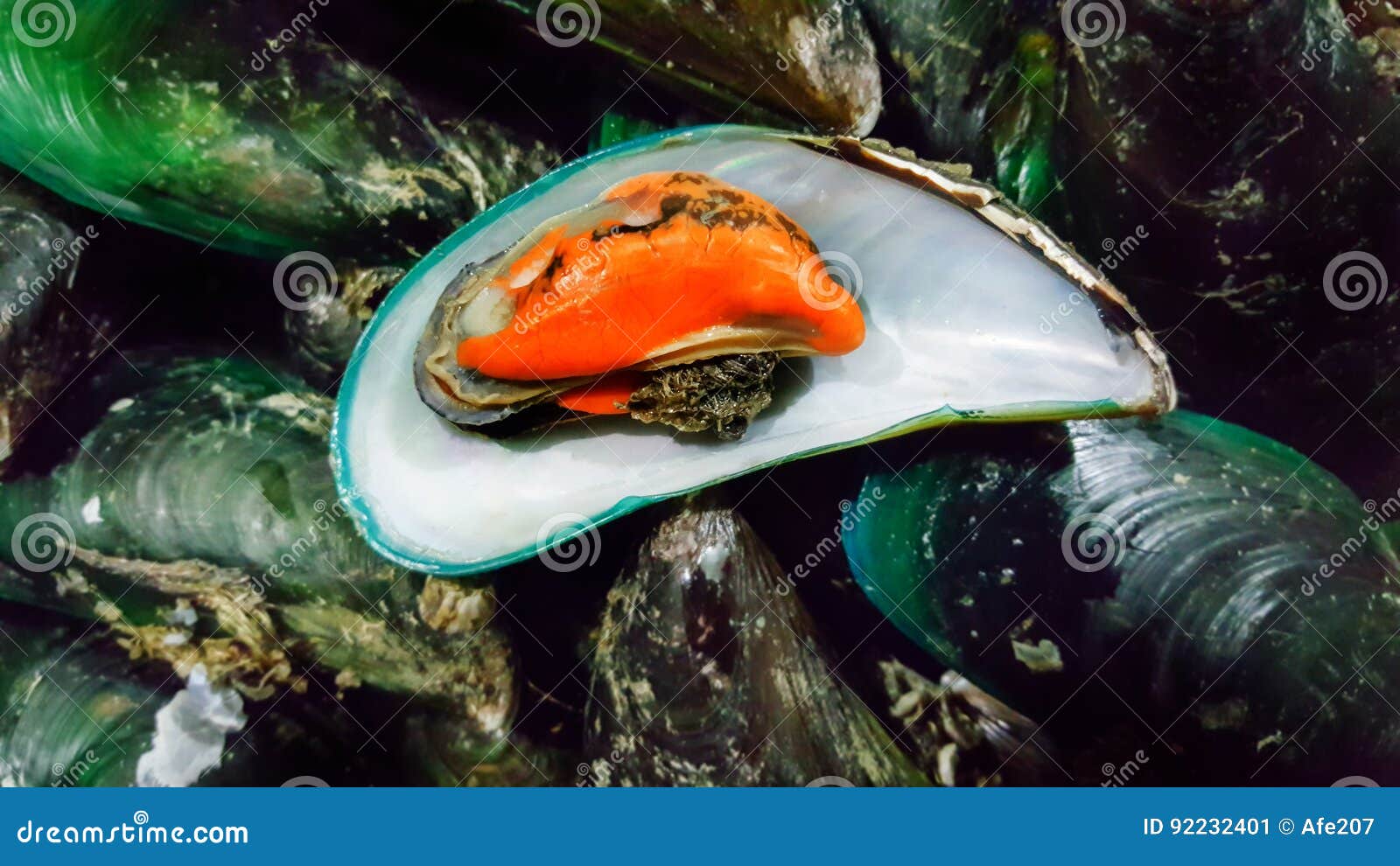 Big mussels seafood menu stock image. Image of delicatessen - 92232401