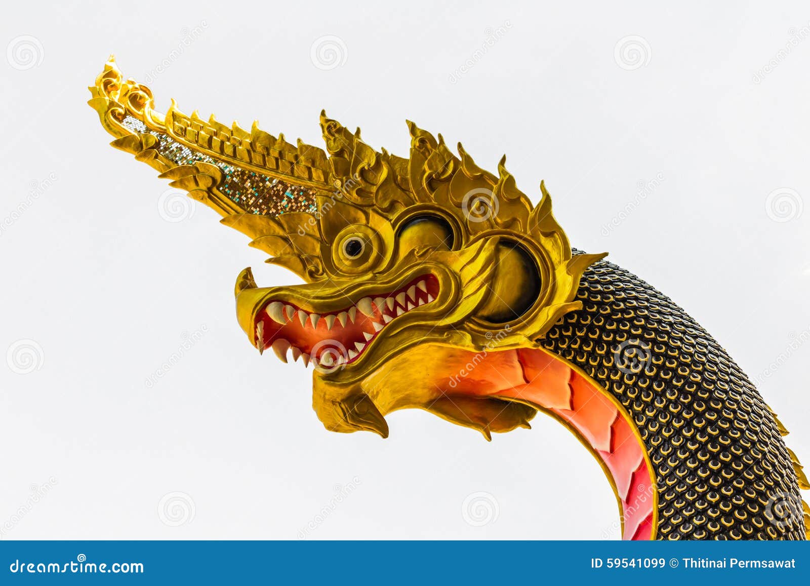 Naga Snake Stock Photography | CartoonDealer.com #53303456