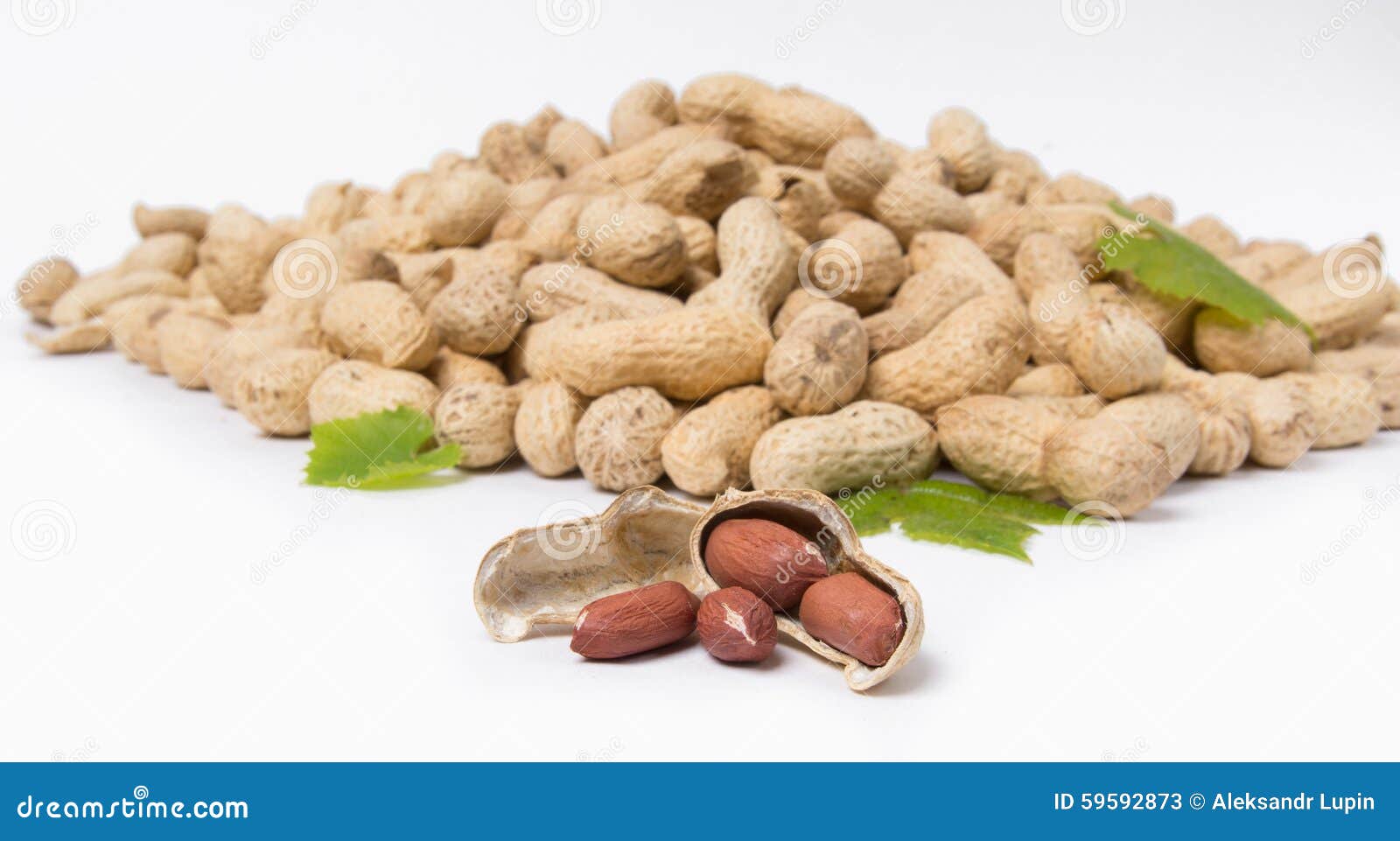 Big nuts stock image. Image of peanuts, leaves, nuts - 59592873