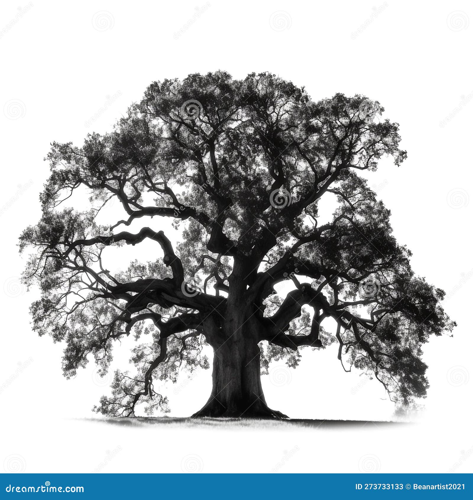 Big Oak Tree Silouette on White Stock Illustration - Illustration of ...