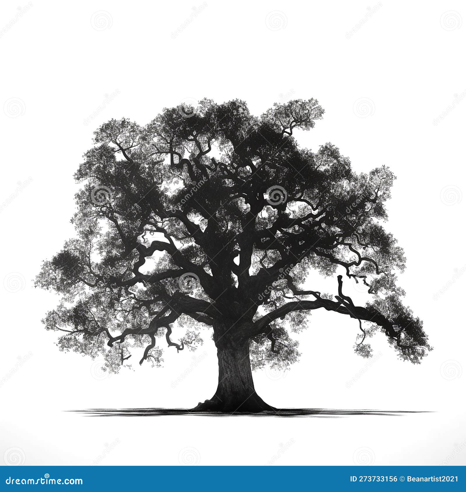 Big Oak Tree Silouette on White Stock Illustration - Illustration of ...