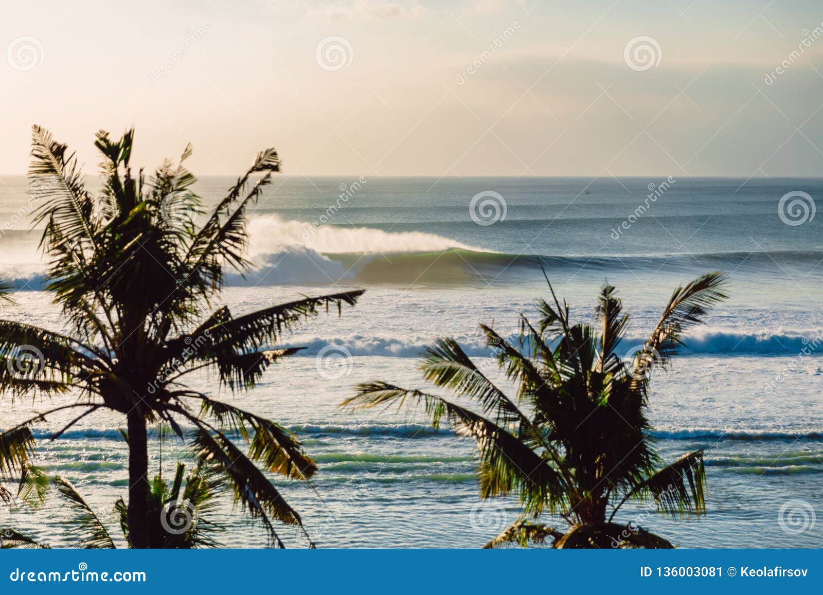 Big Ocean Waves and Coconut Palms. Waves for Surfing Stock Image ...