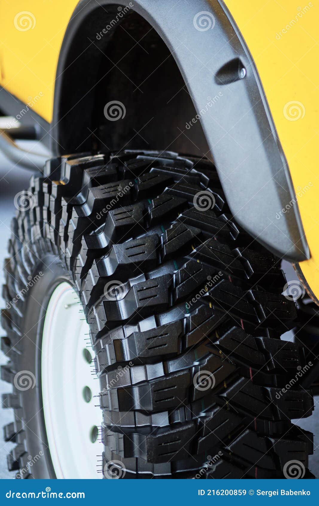 Off Road Wheel Stuck In Mud. Mud Wheel Terrain In The Forest Stock ...