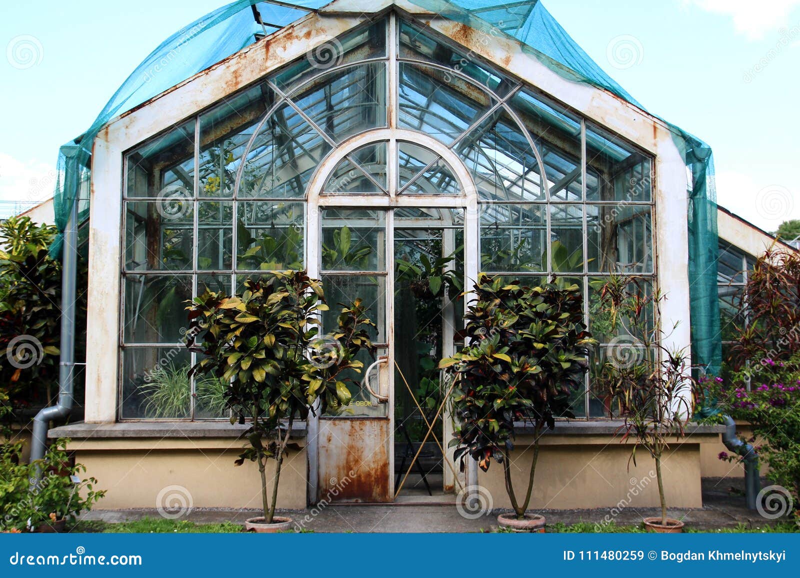 A Big Old Glass Greenhouse with Plants Inside and Out Stock Image ...