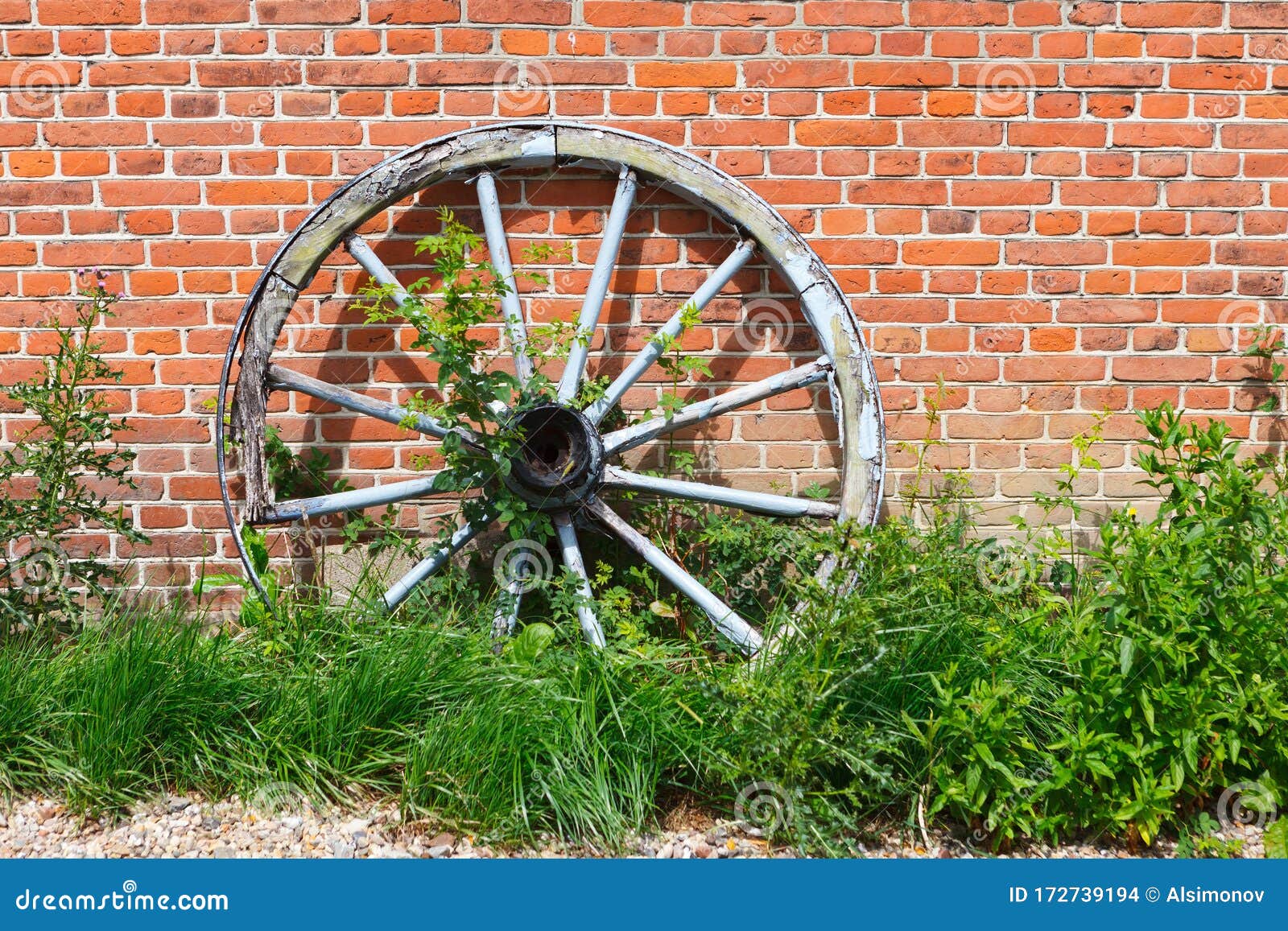 Big, Old Wagon Wheel Against the Background of a Wall from a Red Brick ...