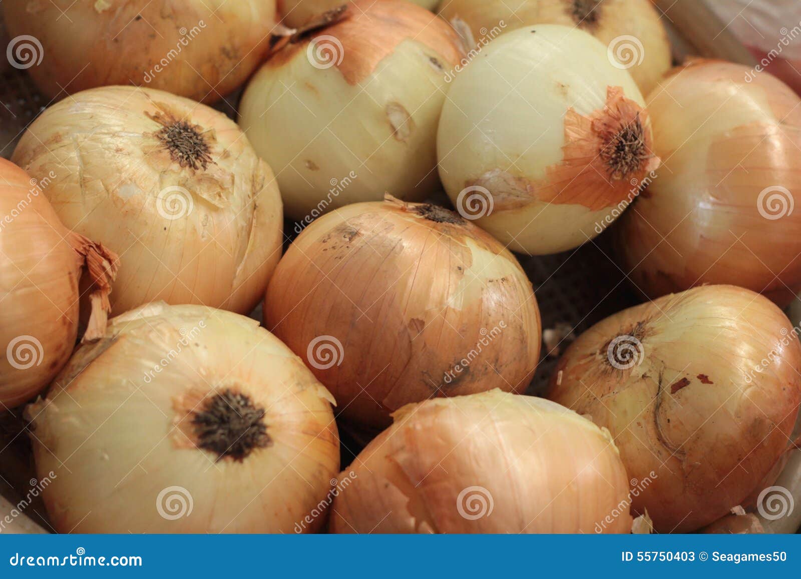 Big onion at the market stock image. Image of asia, shallot - 55750403