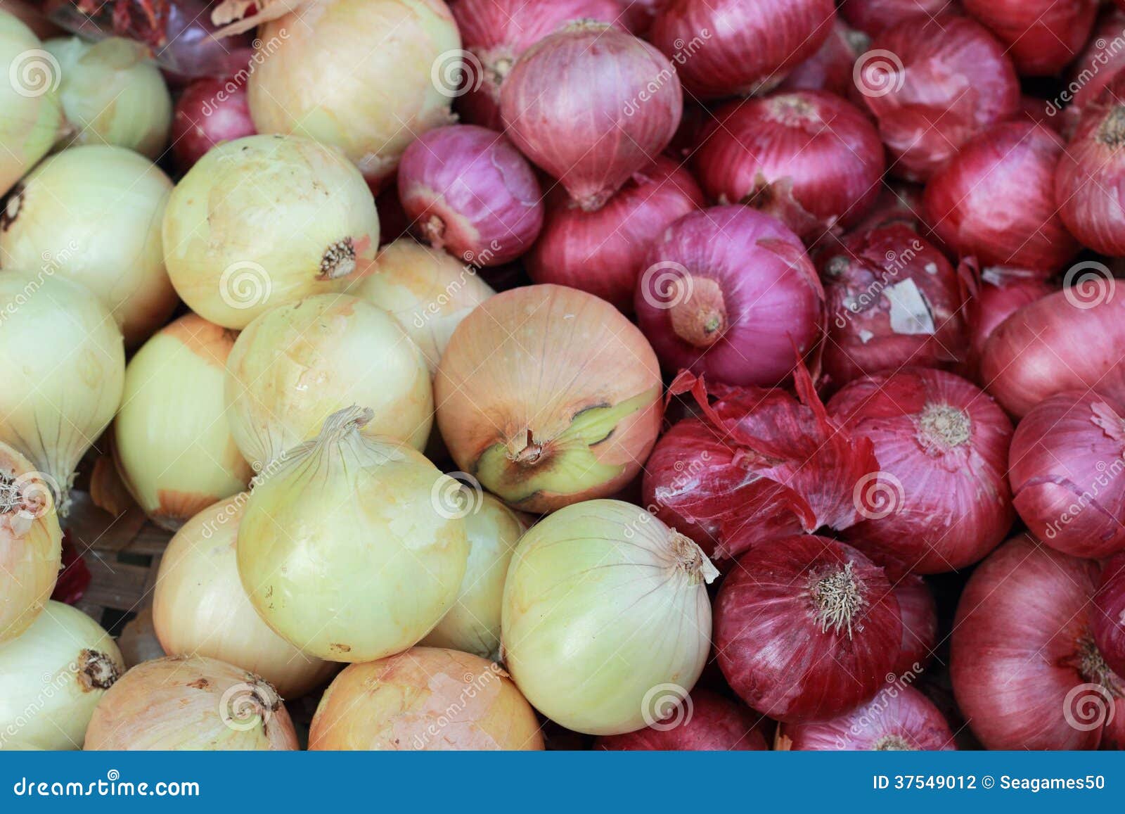 Big Onion with Red Onion in the Market Stock Photo - Image of cuisine ...