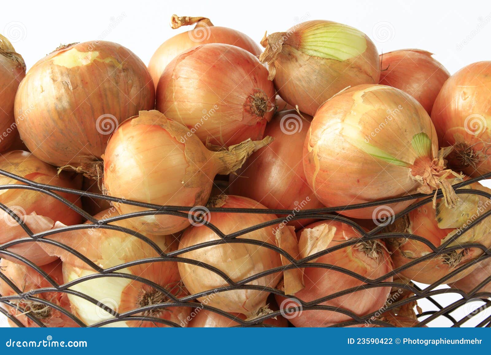 Big onions stock photo. Image of allium, cure, background - 23590422