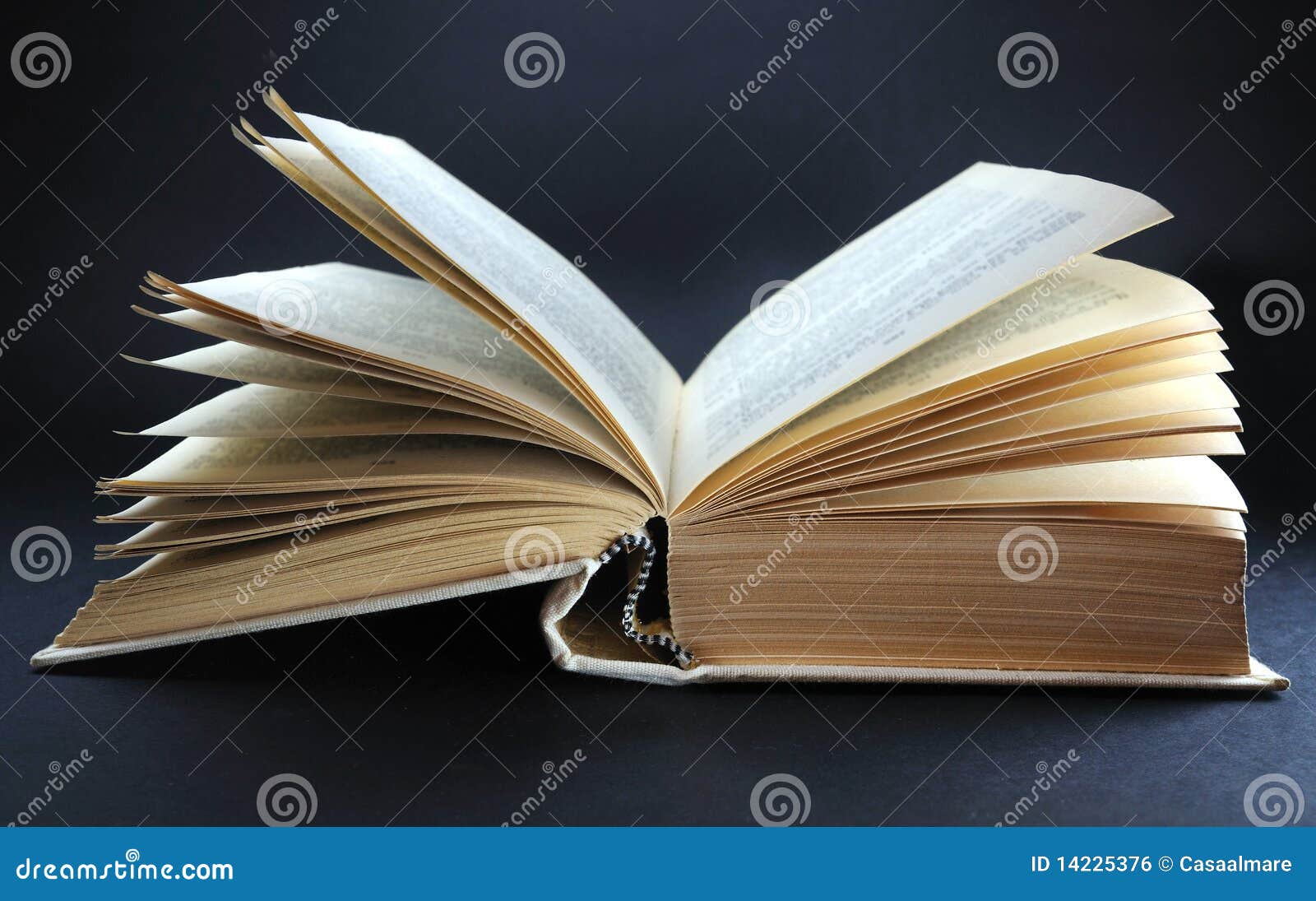 Big open book stock photo. Image of book, research, information - 14225376