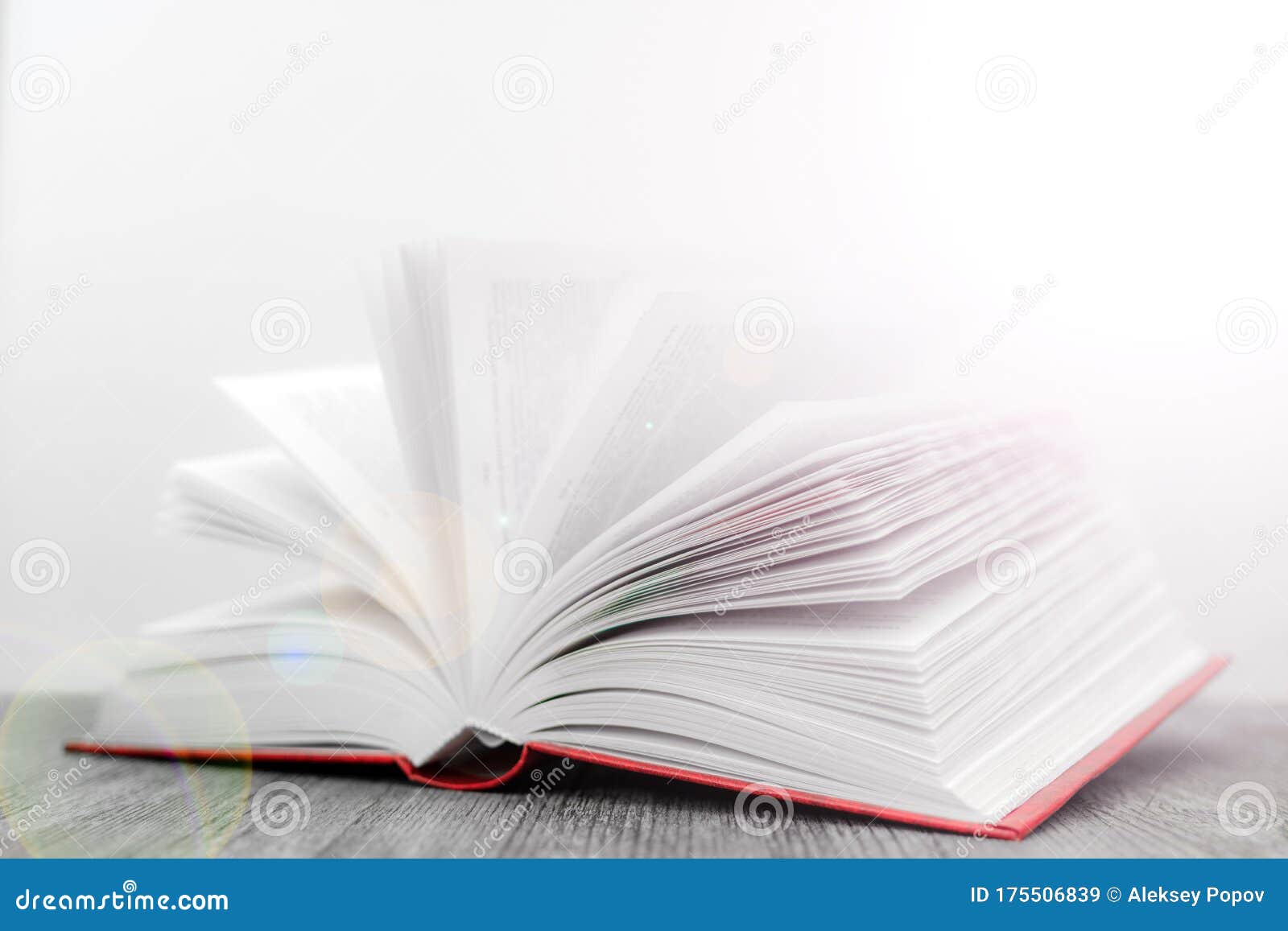 Big Open Book. Pages of a New Book Stock Image - Image of document ...