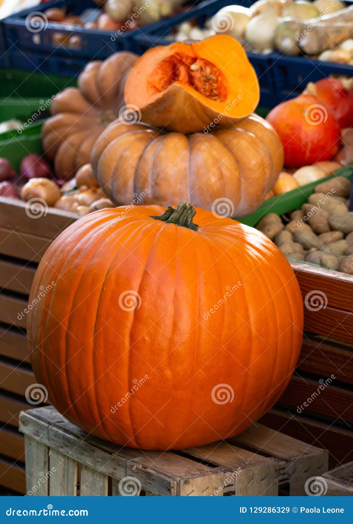 Big Orange Pumpkins in the Foreground, with Pumpkins Different Sizes in ...