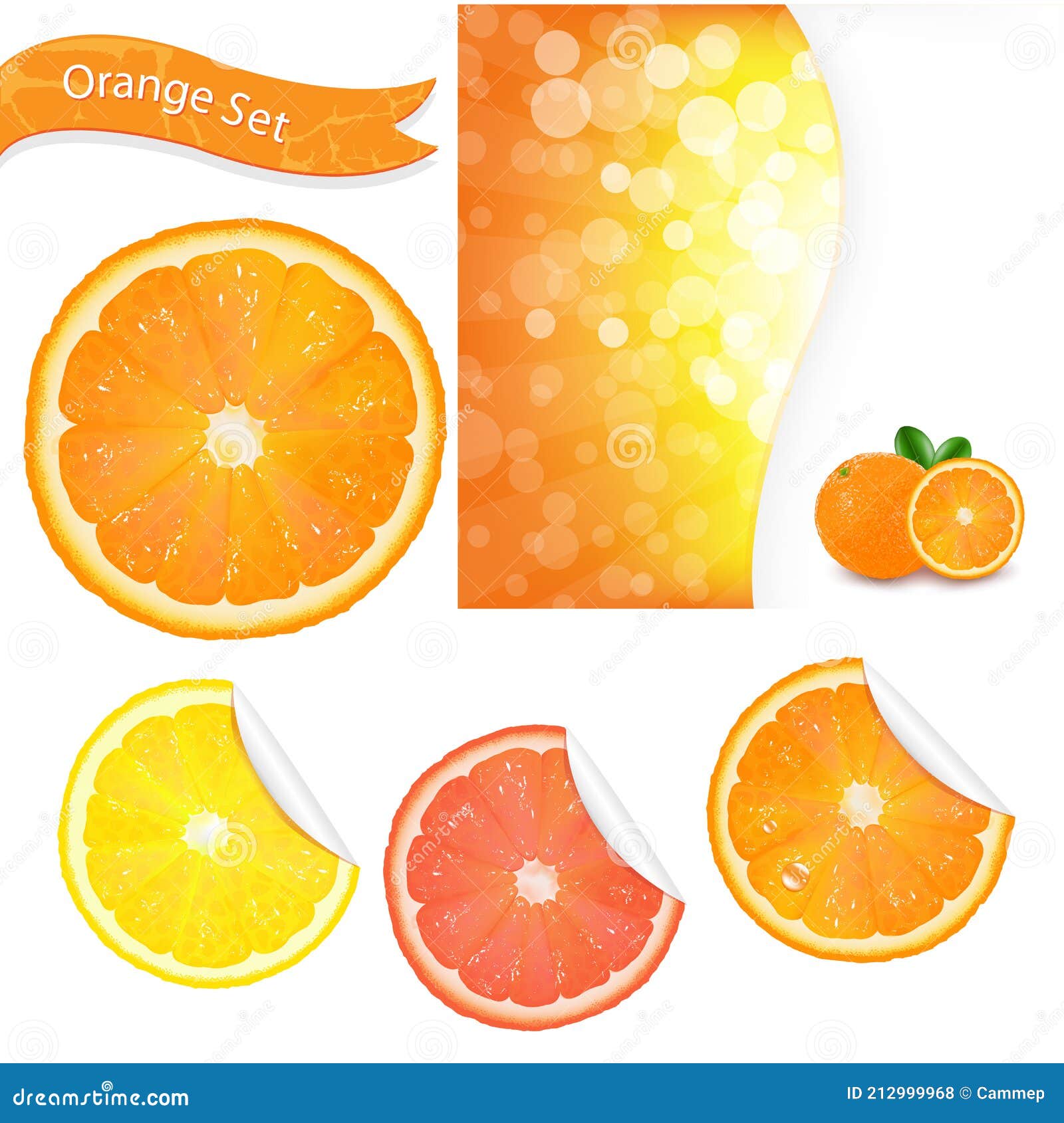 Big Orange Set stock vector. Illustration of citrus - 212999968