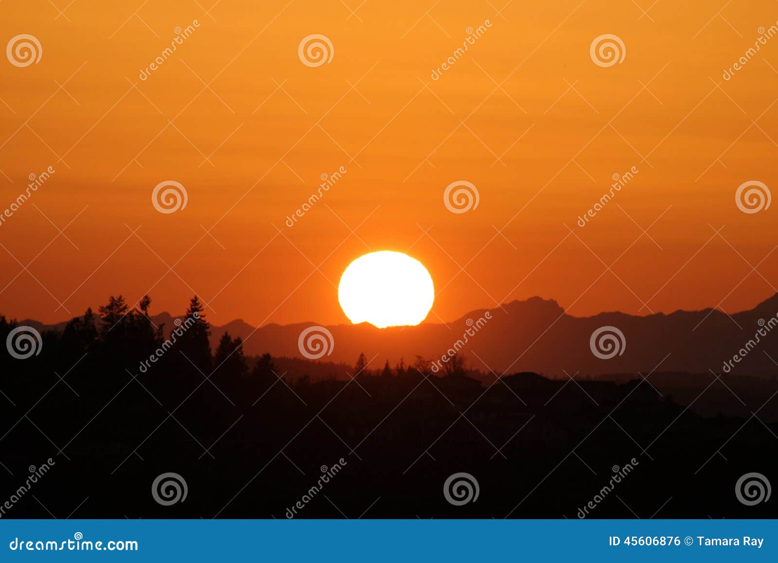 Big Orange Sunset stock photo. Image of pretty, sunset - 45606876