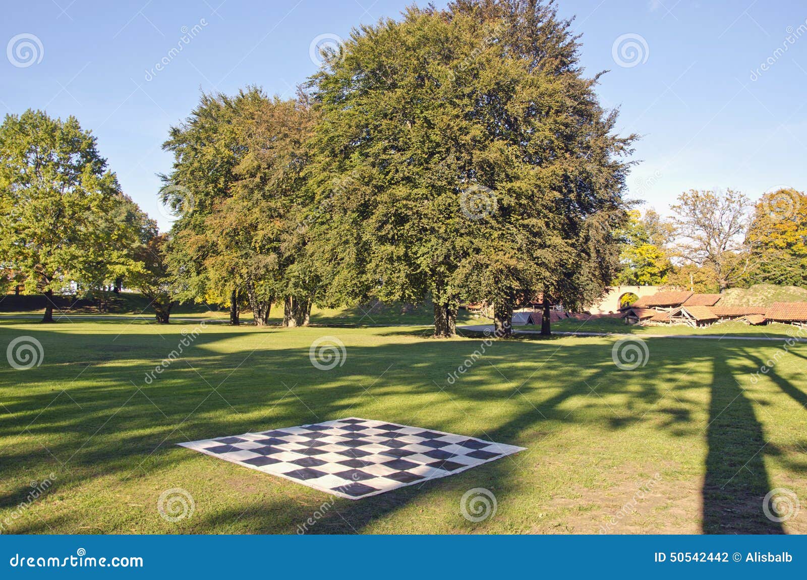 Empty Chess Board Game Backgrounds Stock Image | CartoonDealer.com ... Empty Chess Board Game Backgrounds Stock Image | CartoonDealer.com ...