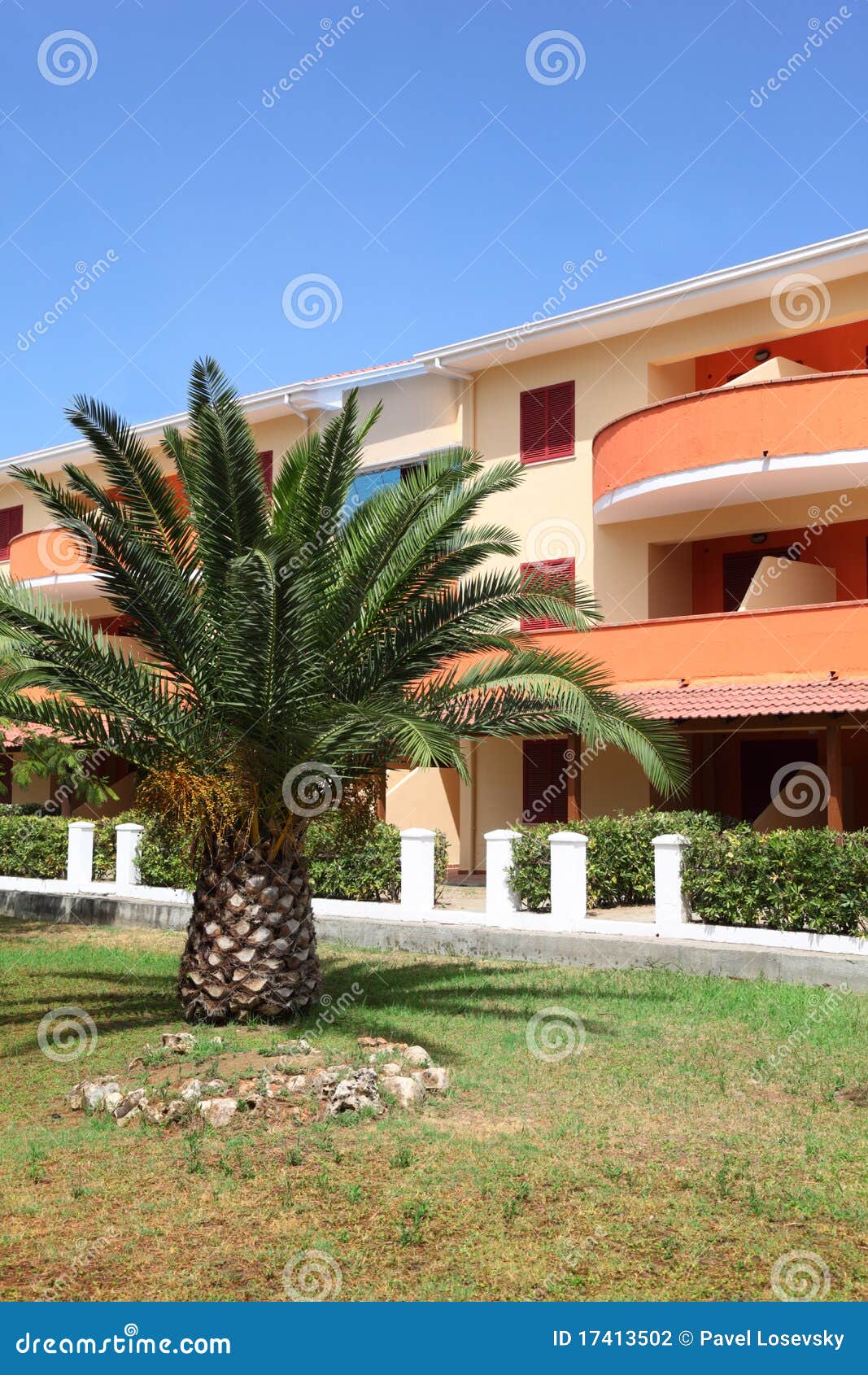 Big Palm Tree Growing Near To Building Stock Photo - Image of ...