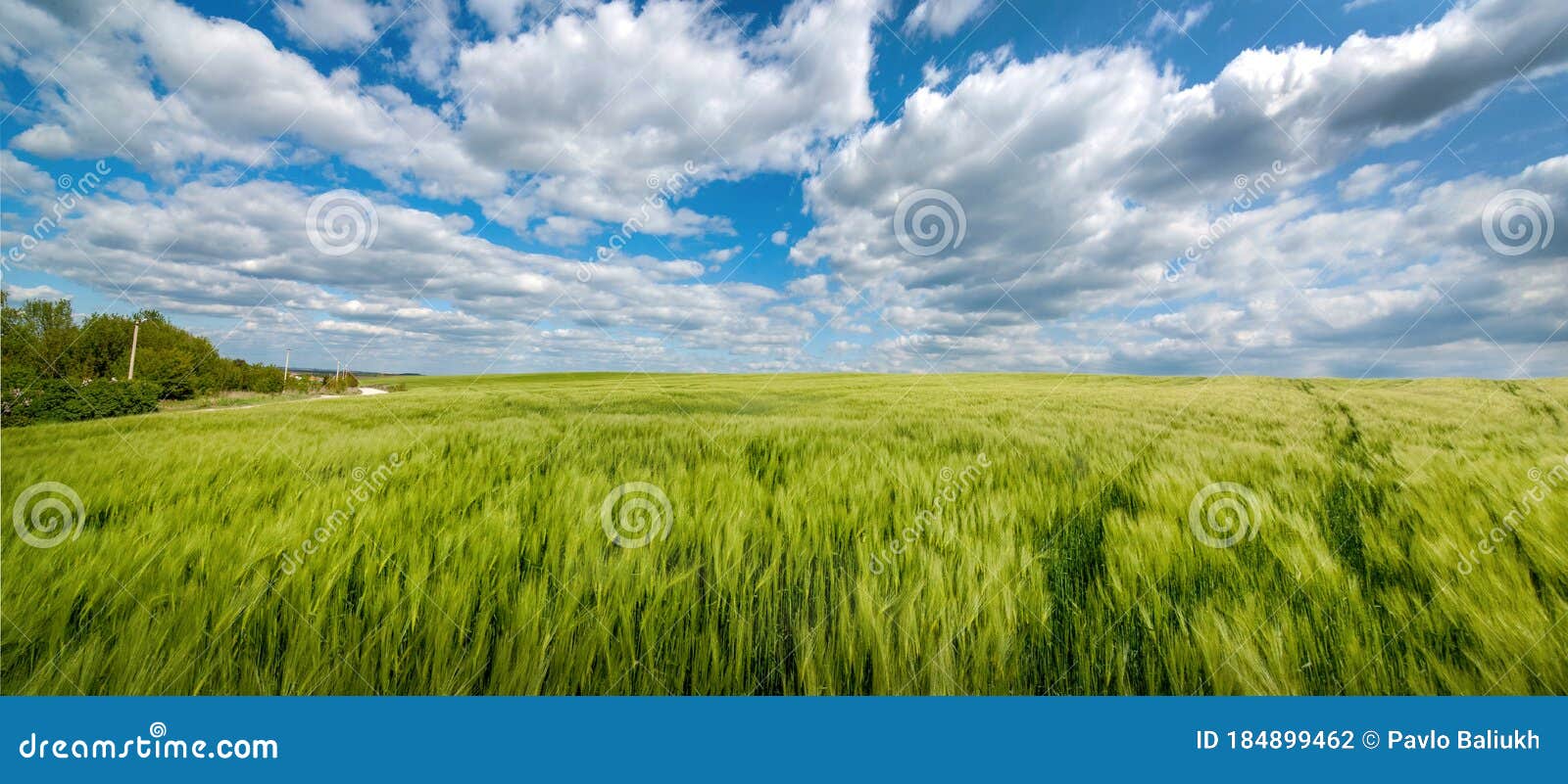 Panorama of Green Rye Fields Under Sky with a Clouds Stock Photo ...
