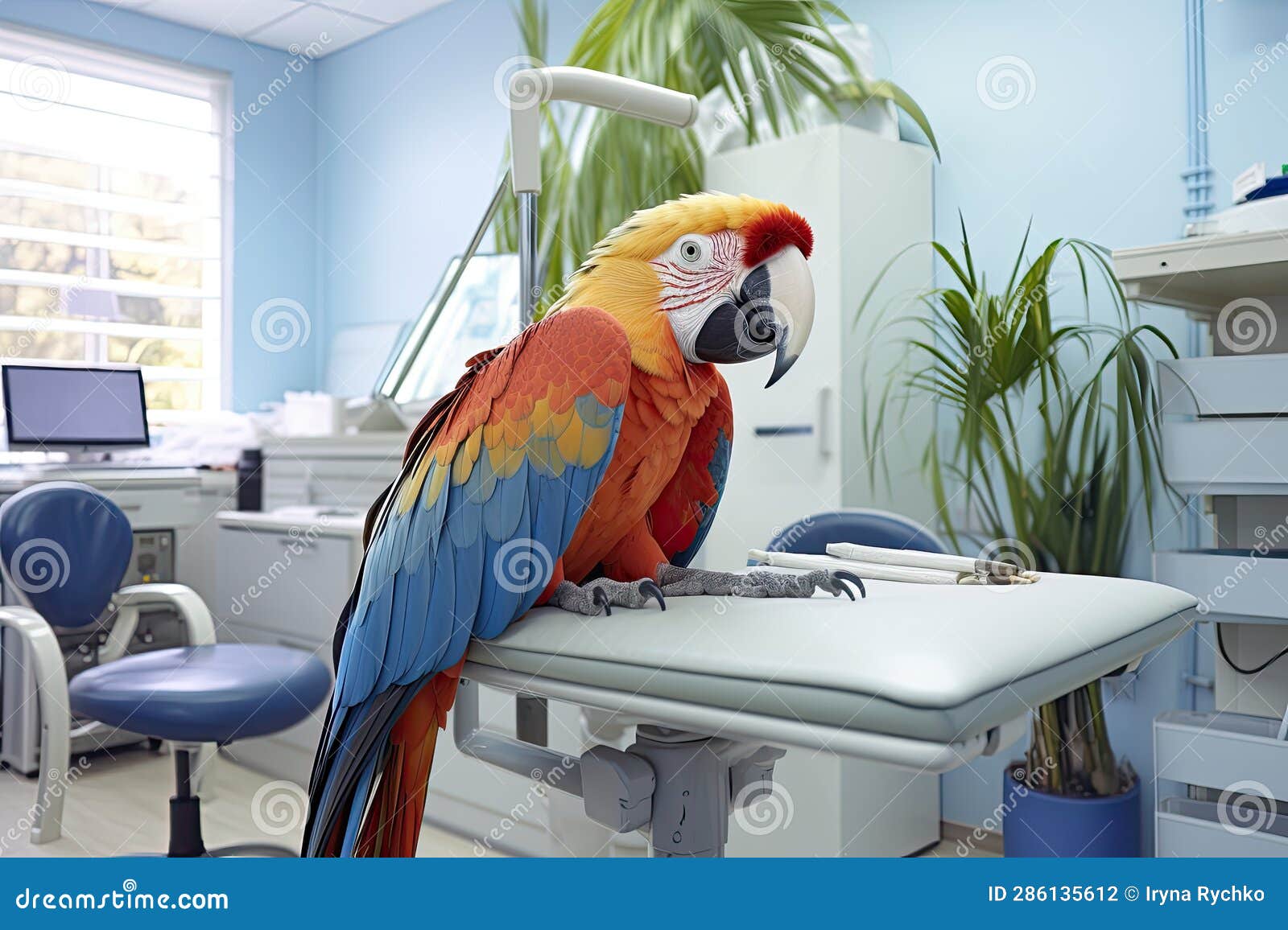 Big Parrot in Vet Clinic, Ai Generated Stock Illustration ...
