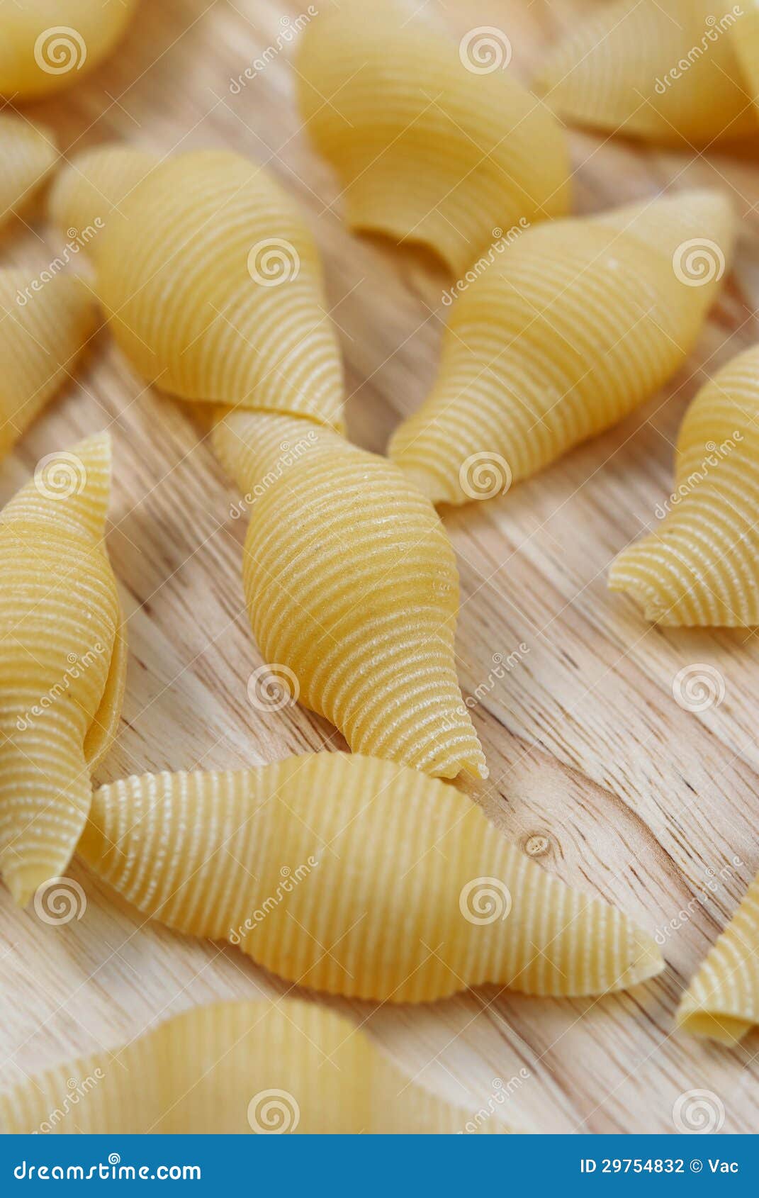 Pasta Shells stock photo. Image of pasta, delicious, conchiglioni ...