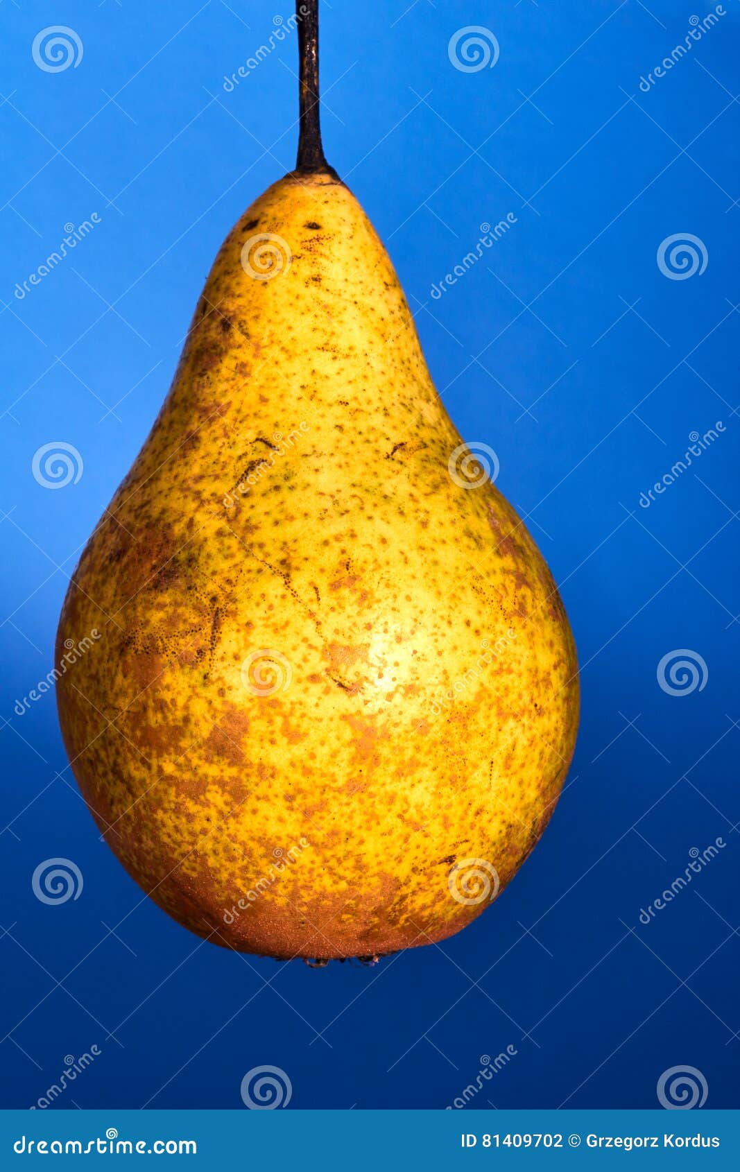 The big pear stock photo. Image of pear, orchard, food - 81409702