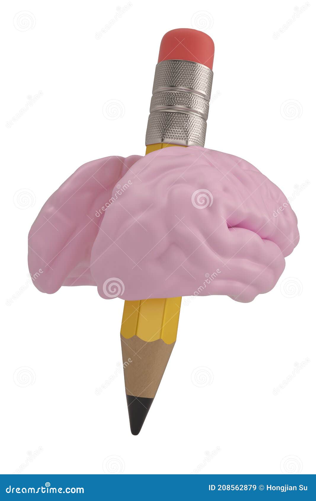 Big Pencil with Brain Isolated on White Background, 3D Illustration ...