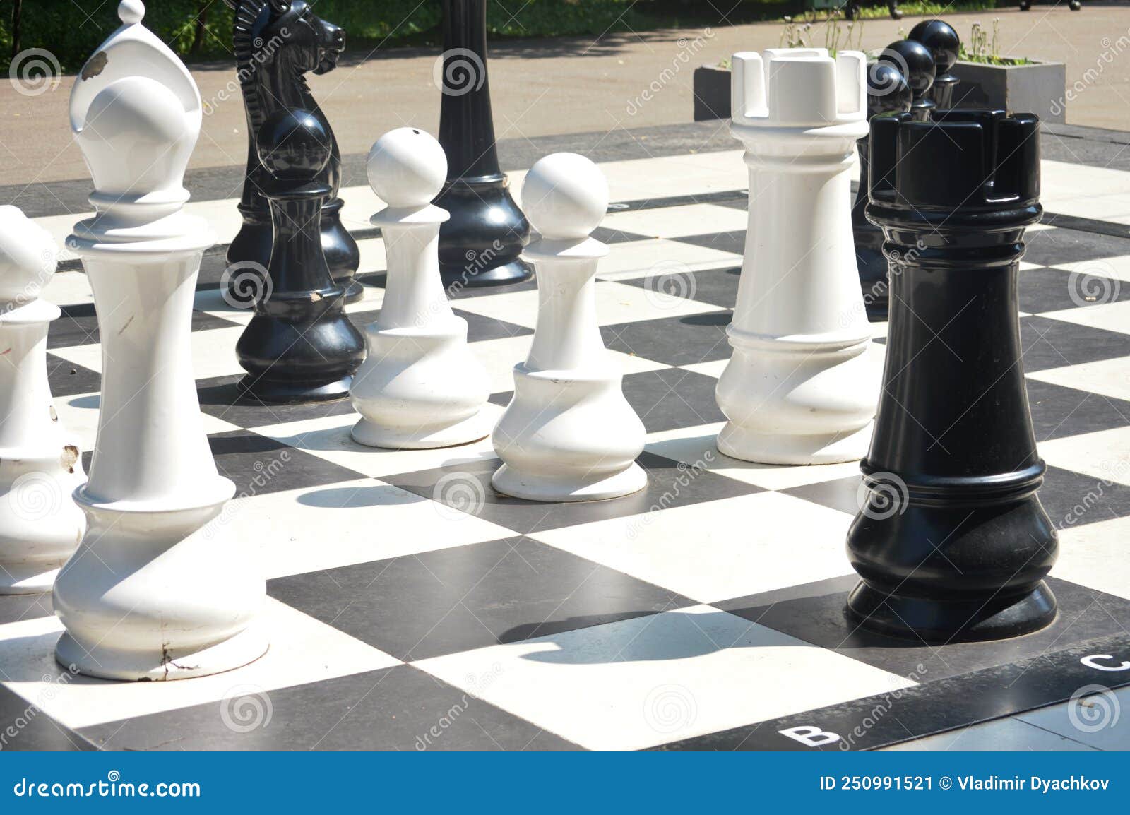 Large chess pieces stock image. Image of fight, board - 250991521
