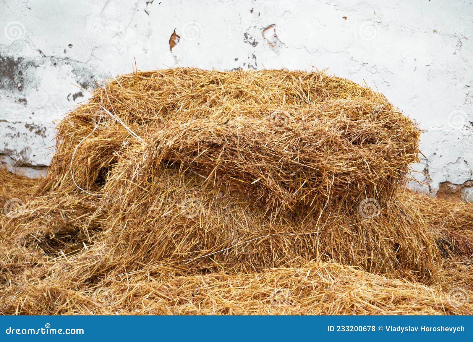 Big Pile of Dry Hay on a Farm Stock Photo - Image of falling, plank ...