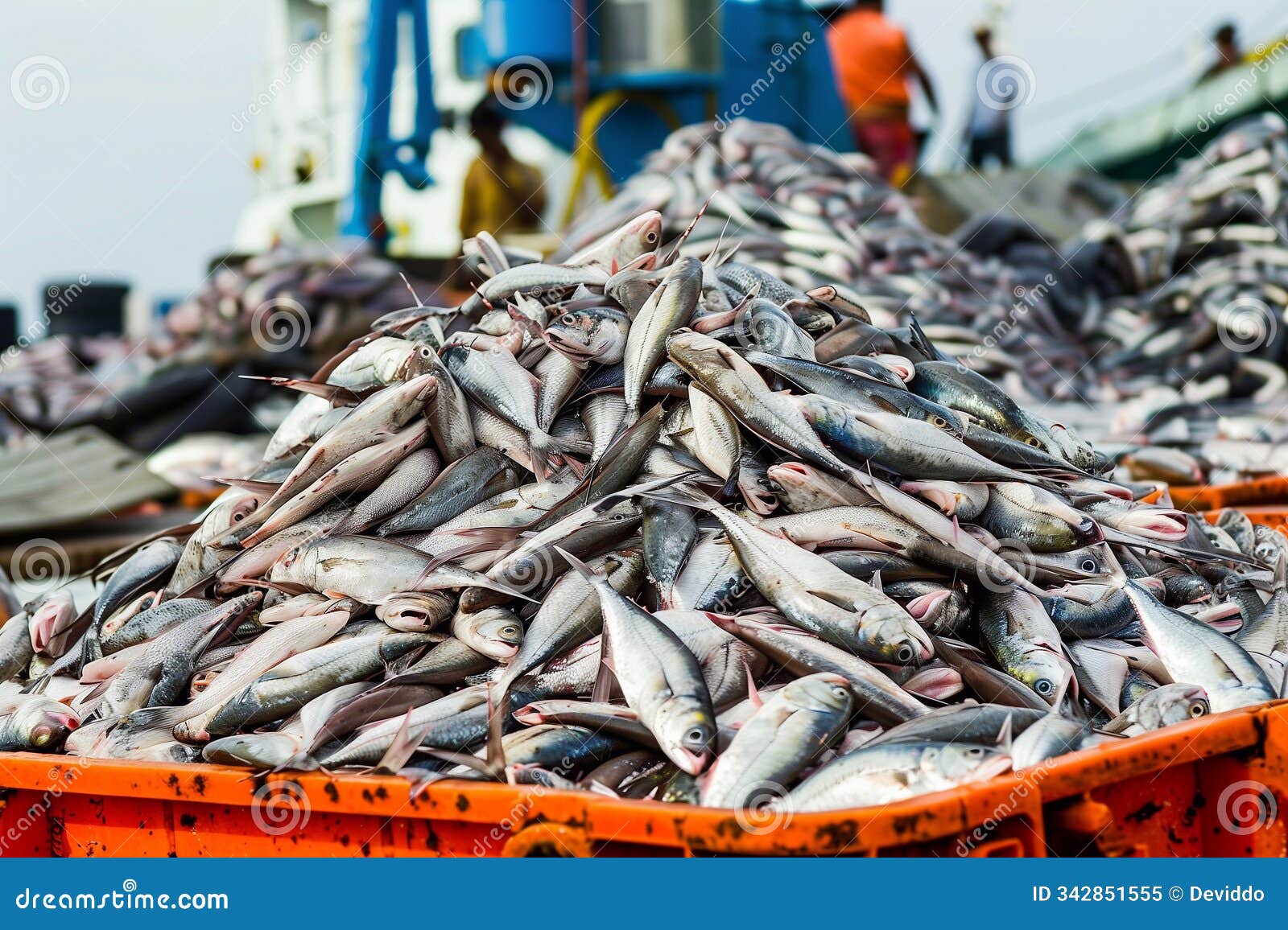 Big pile of fish stock illustration. Illustration of cuisine - 342851555