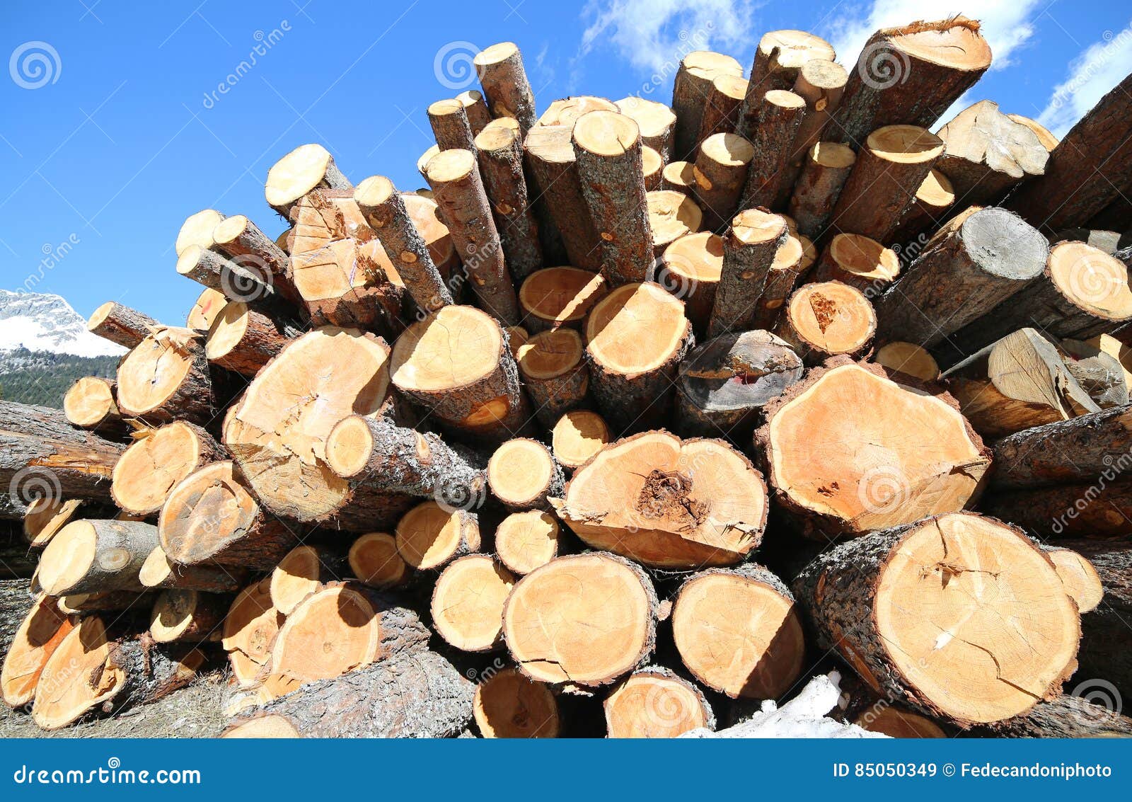 Big Pile of Logs Cut from Lumberjacks Stock Image - Image of stem ...