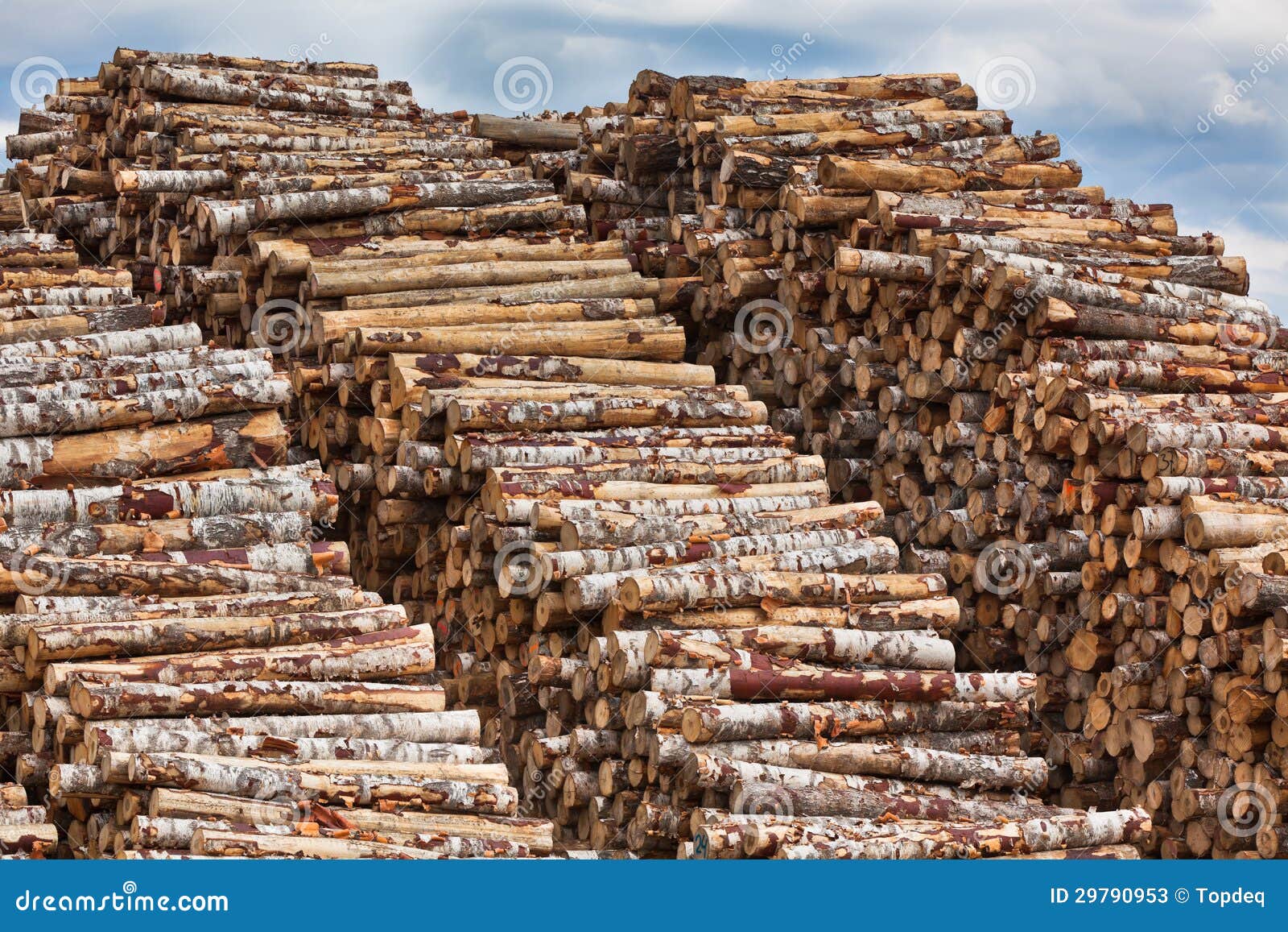 Big pile of logs stock image. Image of firewood, group - 29790953