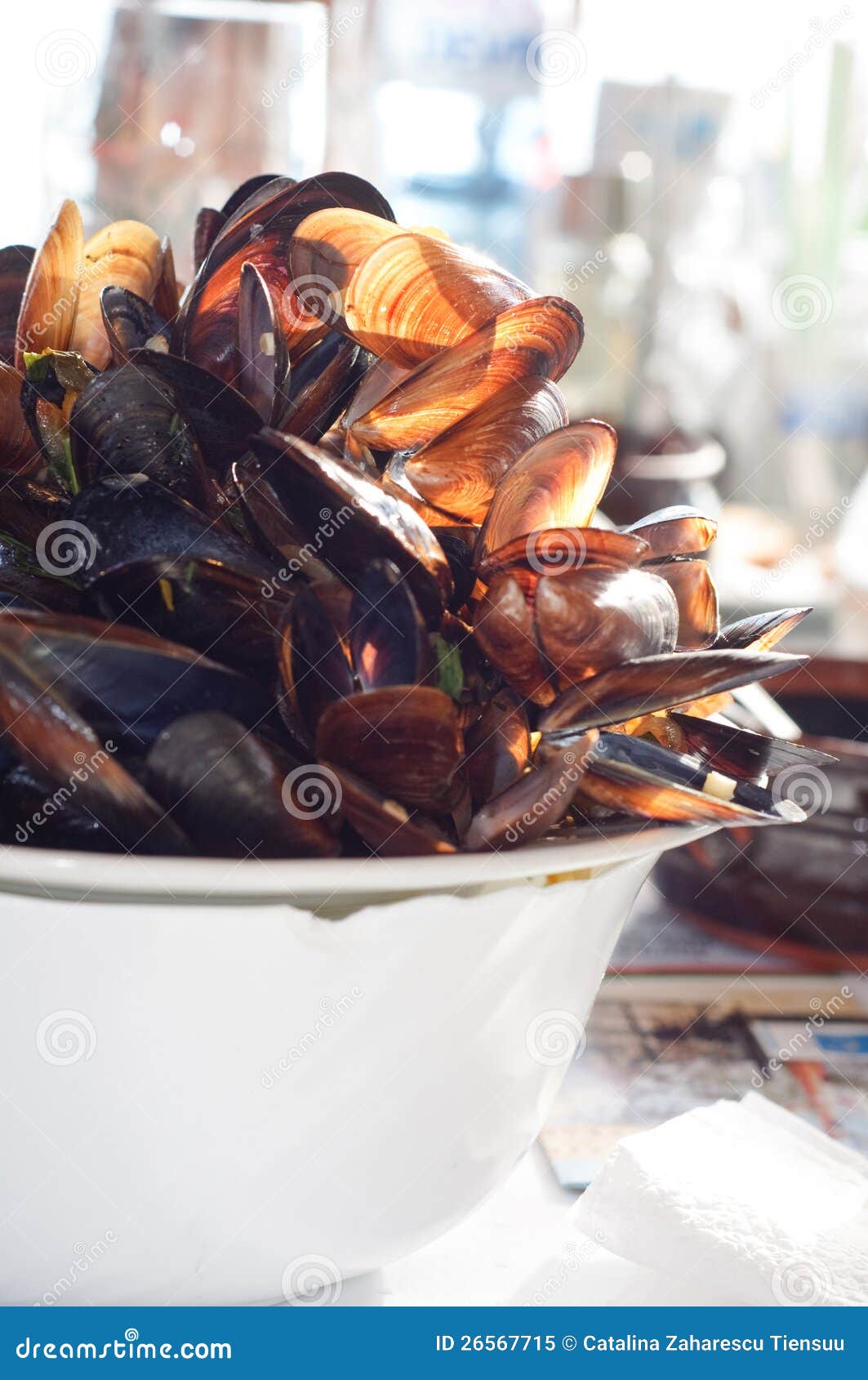 Big pile of mussel shells stock image. Image of bowl - 26567715