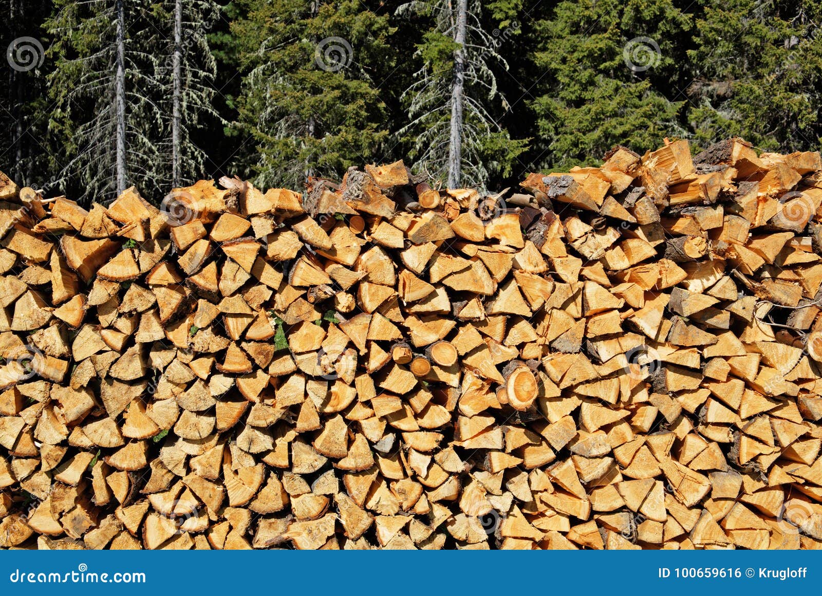 Spruce Wood Panorama Background Royalty-Free Stock Image ...
