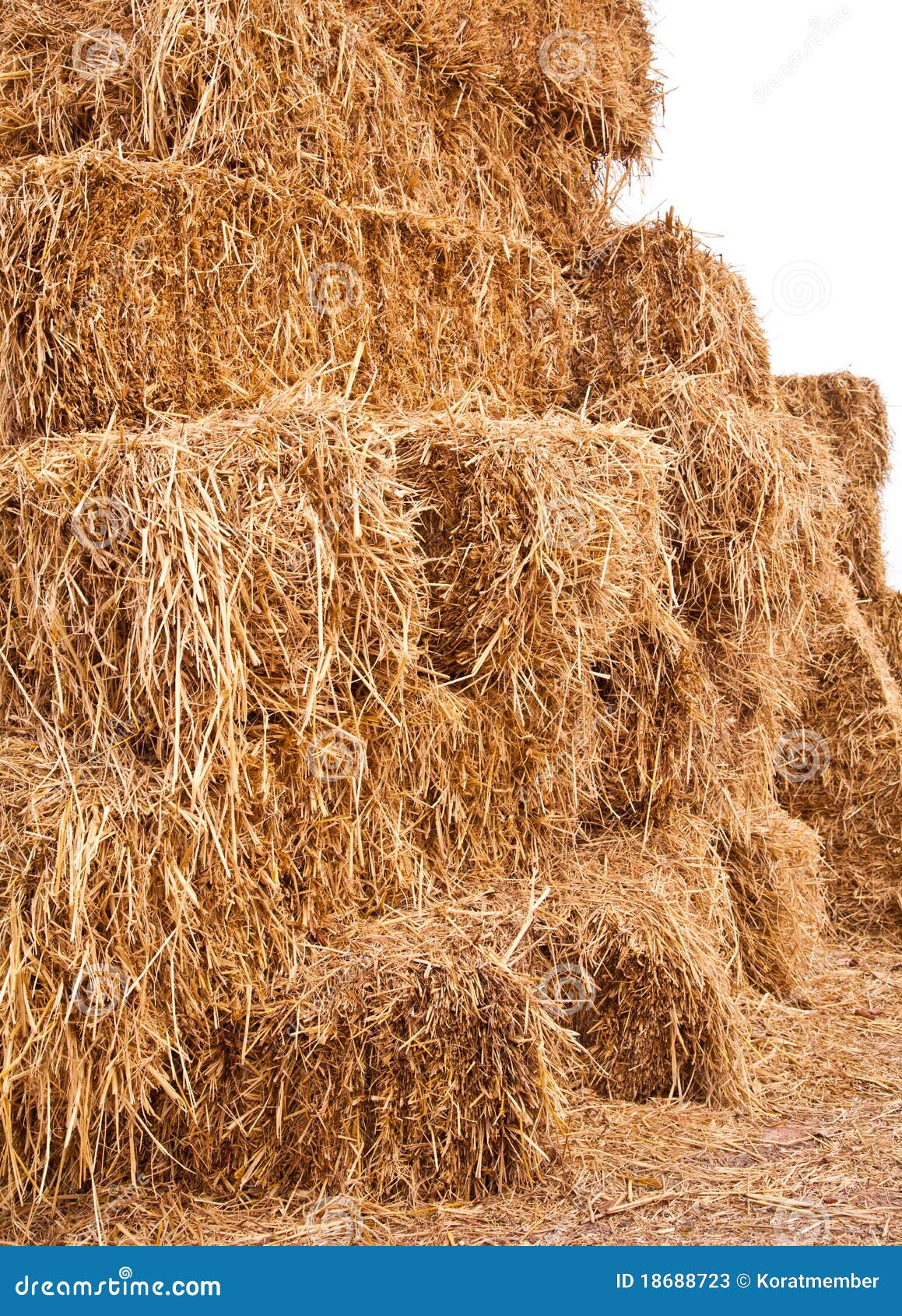 Big Pile of Straw stock image. Image of farming, bedding - 18688723