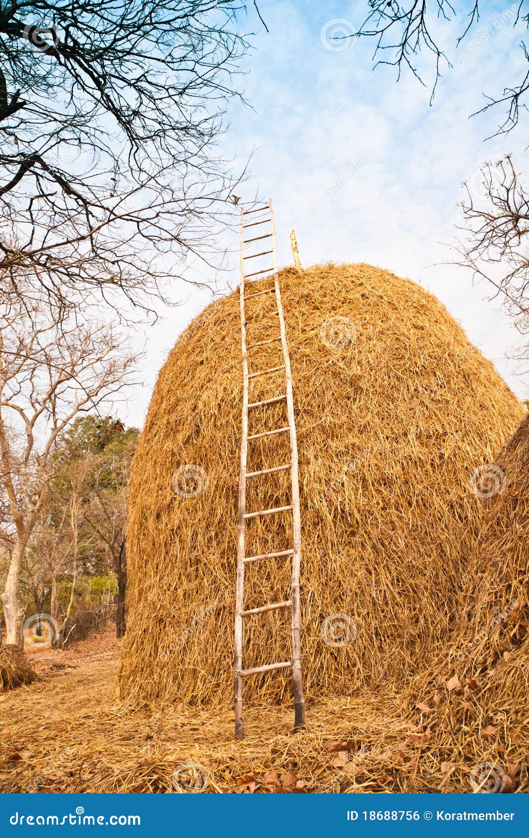 Big Pile of Straw stock photo. Image of country, grow - 18688756