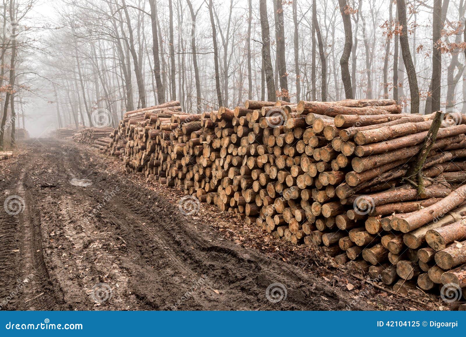 Big pile of wood stock image. Image of logging, woodpile - 42104125