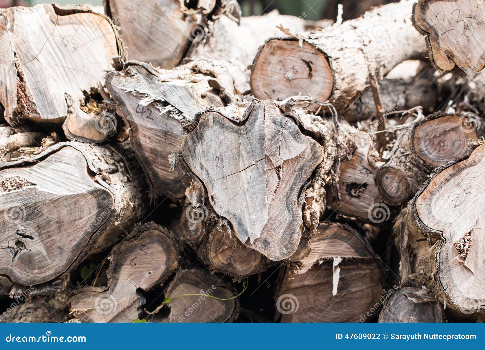 Big pile of wood stock photo. Image of full, short, sawing - 47609022