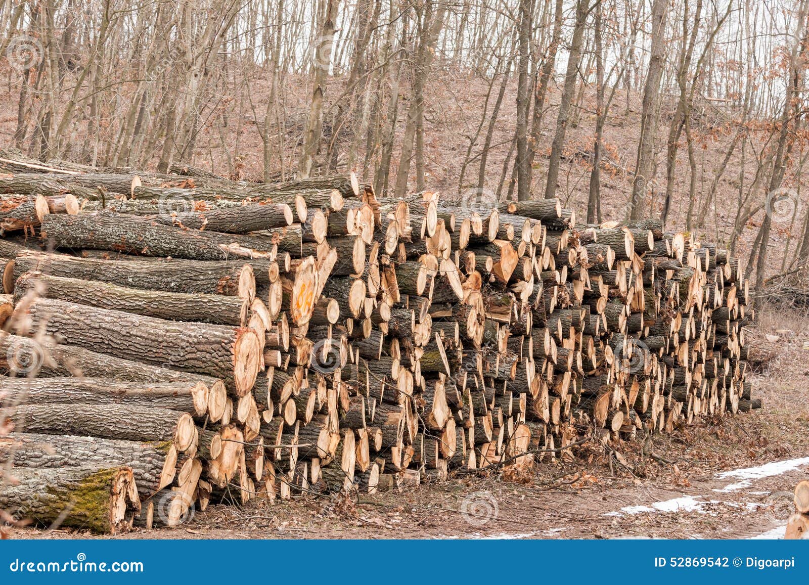 Big pile of wood stock photo. Image of green, pile, wooden - 52869542