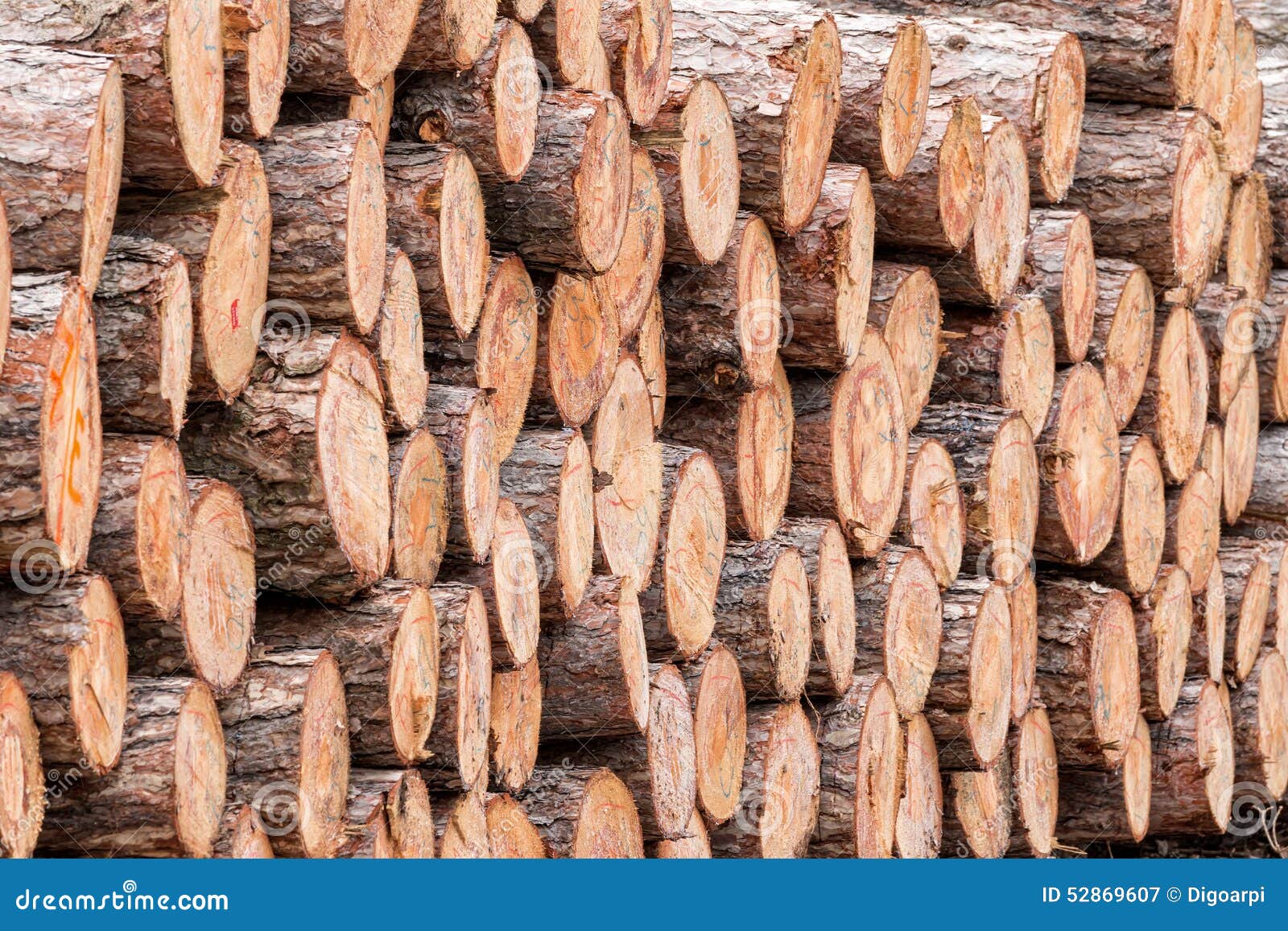 Big pile of wood stock image. Image of brown, branch - 52869607