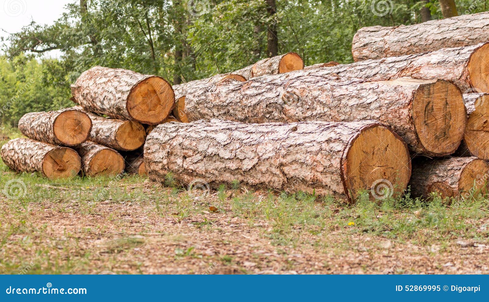 Big pile of wood stock image. Image of forestry, brown - 52869995