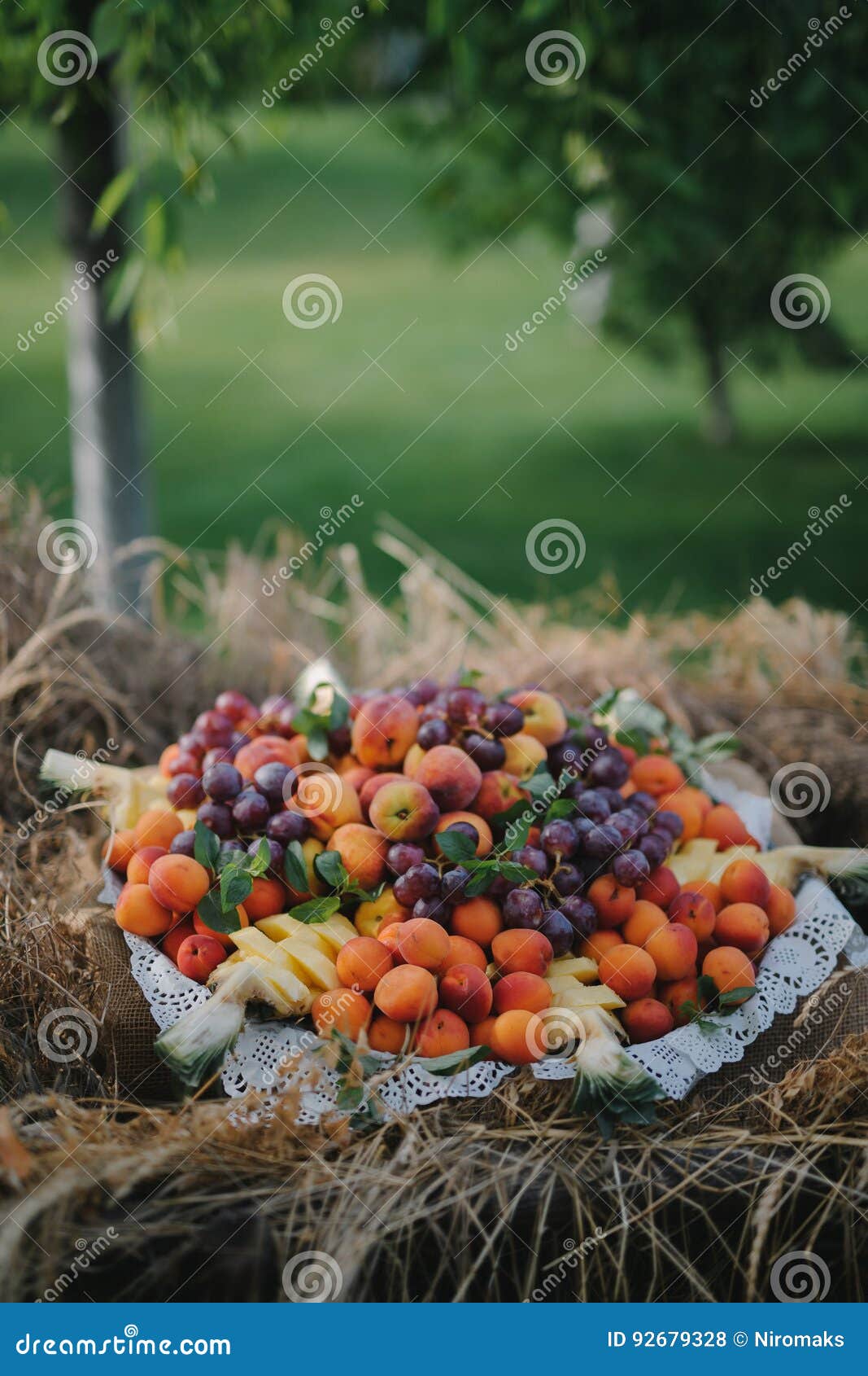 Big Plate with Summer Fruits Shot Outdoors Stock Photo - Image of ...