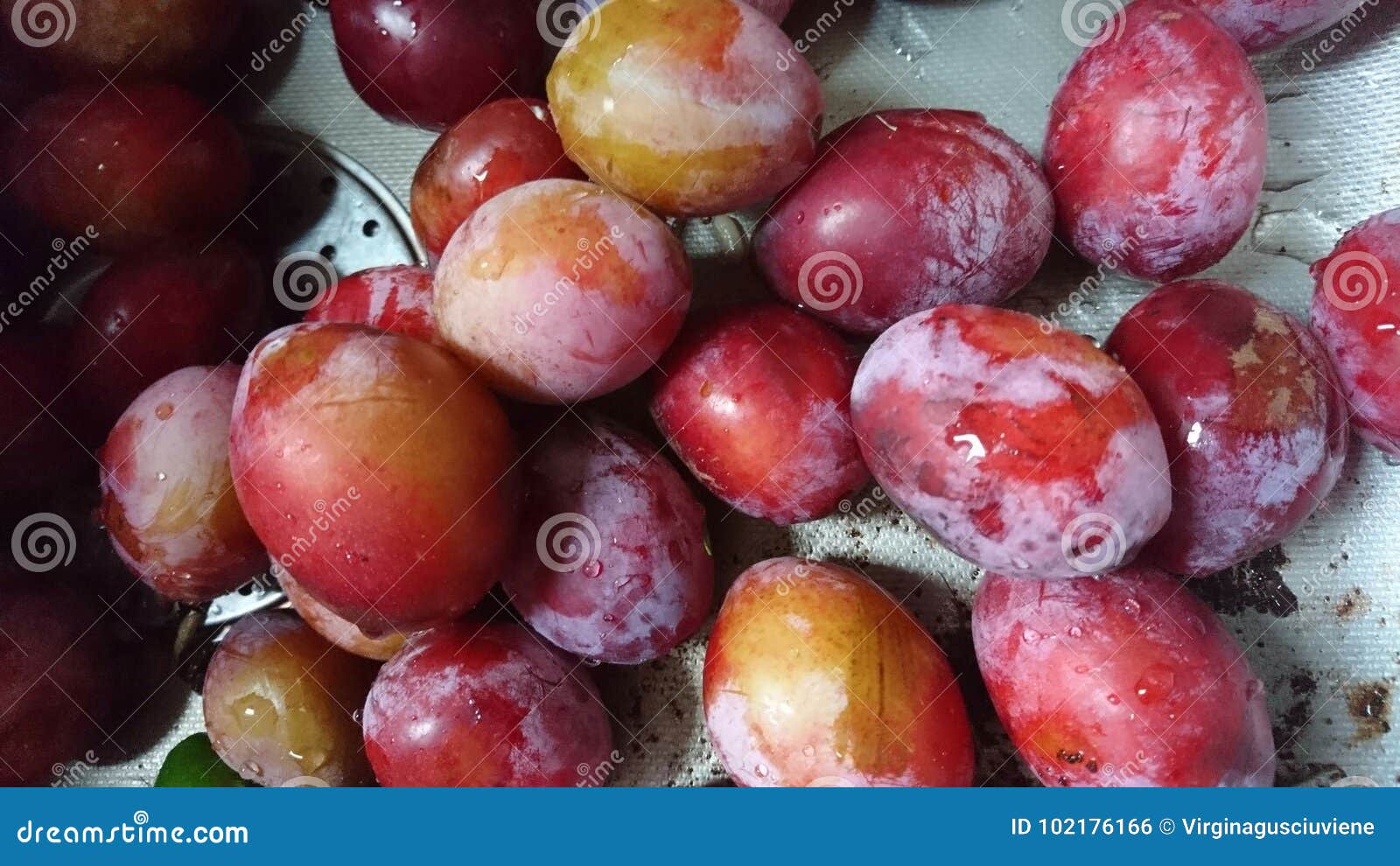 Big plums stock photo. Image of nature, fruit, abstract - 102176166