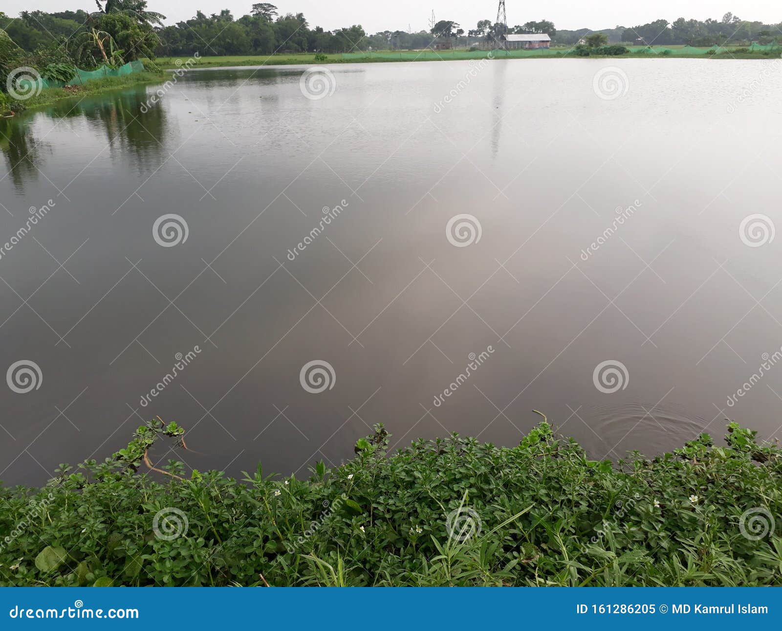 Big pond stock image. Image of pond, bigpond, beautiful - 161286205