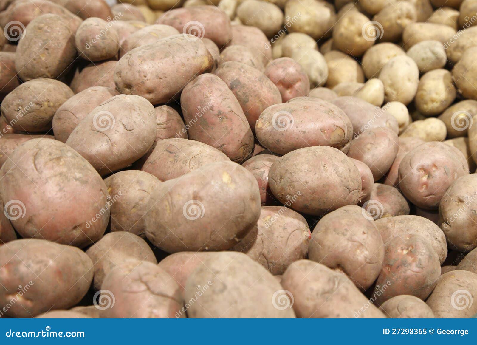 Big potatoes in a grocery stock image. Image of lifestyle - 27298365