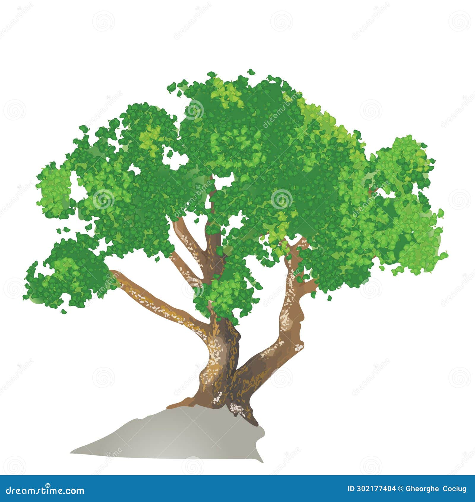 Big realistic tree a stock vector. Illustration of botanical - 302177404